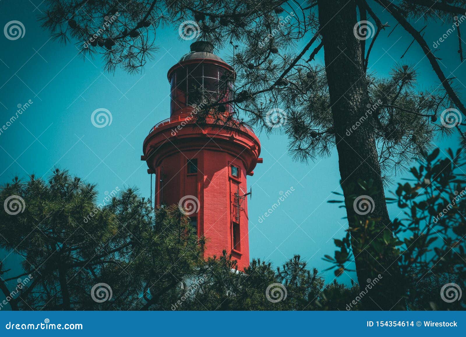 Long-range Shot of a Trough House Visible through Trees with Blue Sky ...