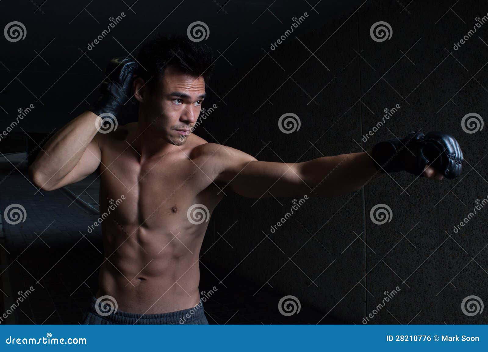 The Long Reach Punch stock photo. Image of gloves, fighting - 28210776