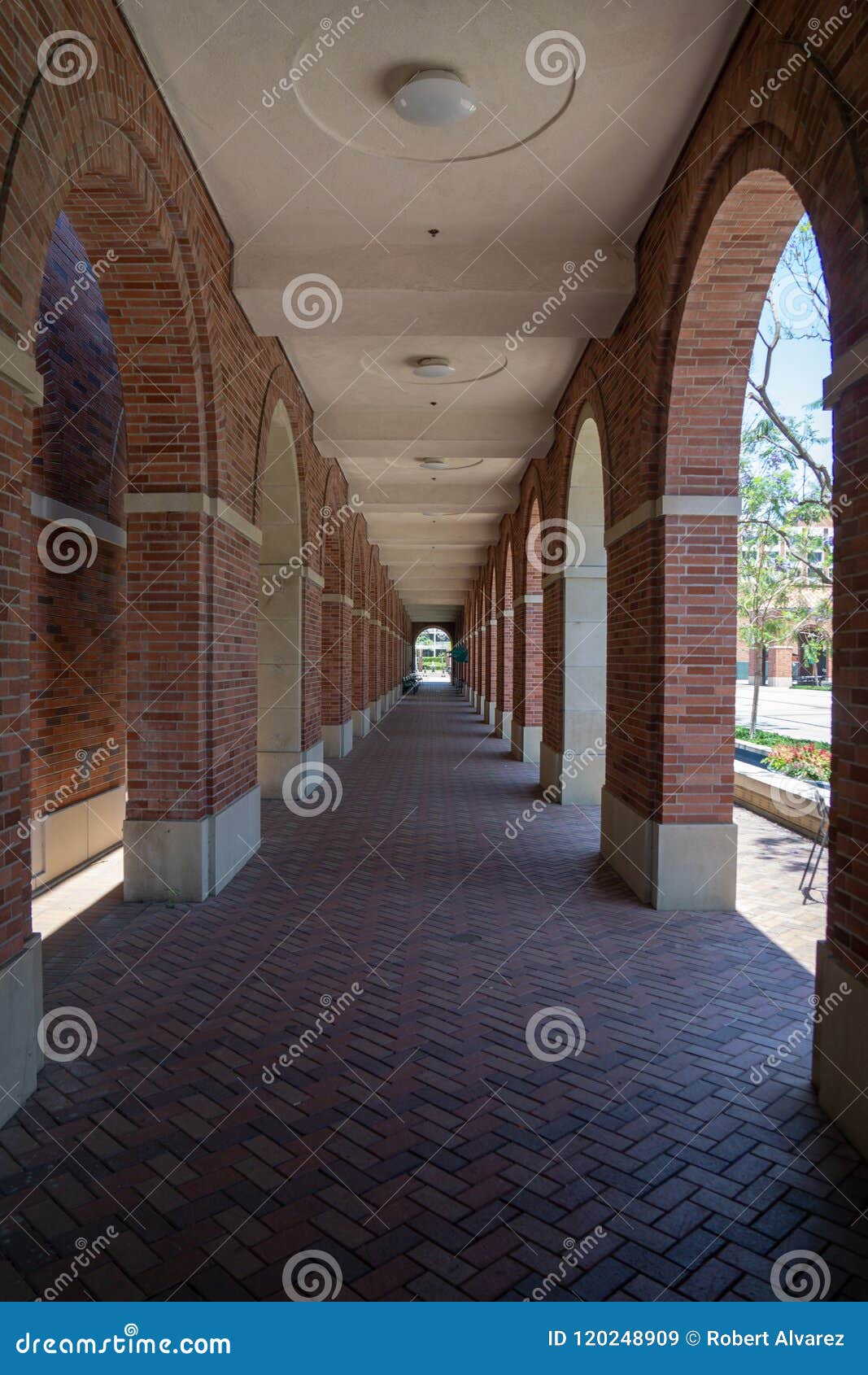 Long Red Brick Arch Corridor at a University Editorial Stock Image ...