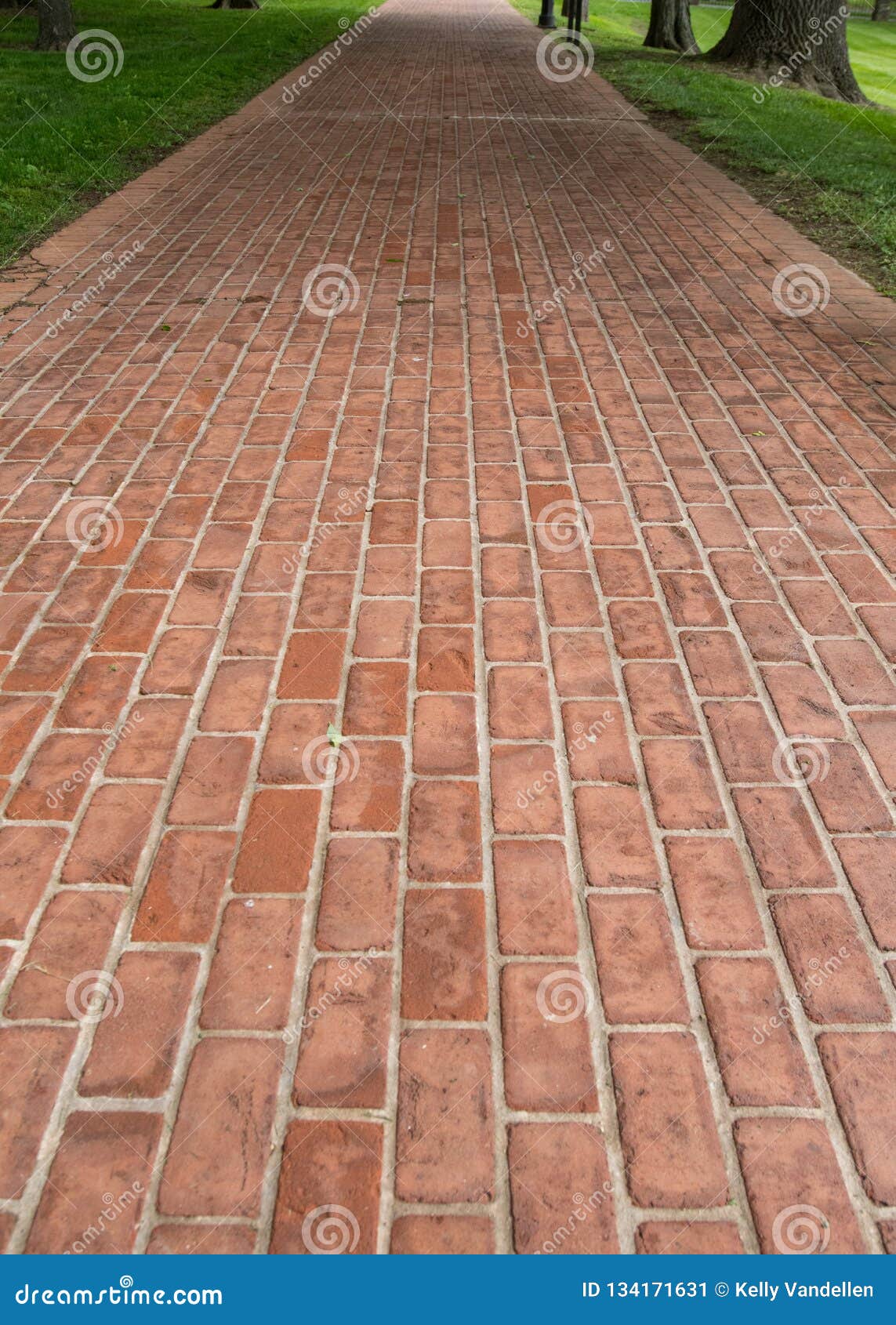 Long Red Brick Pathway stock image. Image of detail - 134171631