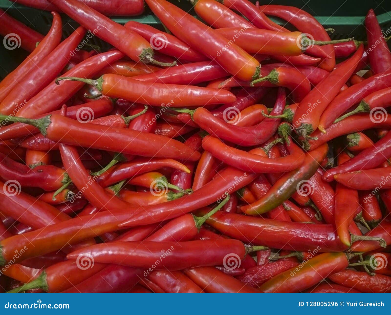 Long Red Hot Peppers on Stand Stock Photo - Image of capsaicin, chile ...