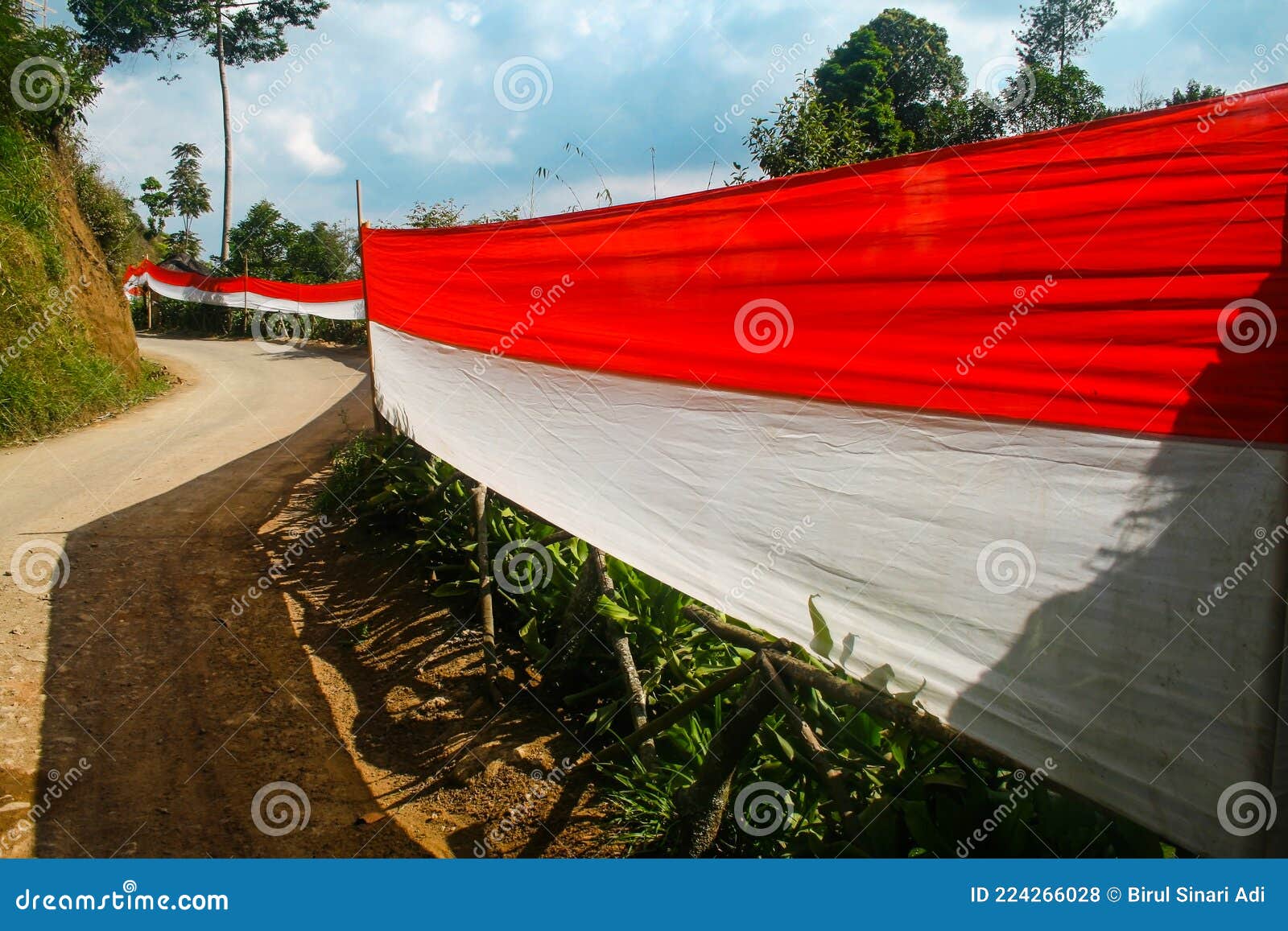 The Long Flag stock photo. Image of long, flower, leaf - 224266028