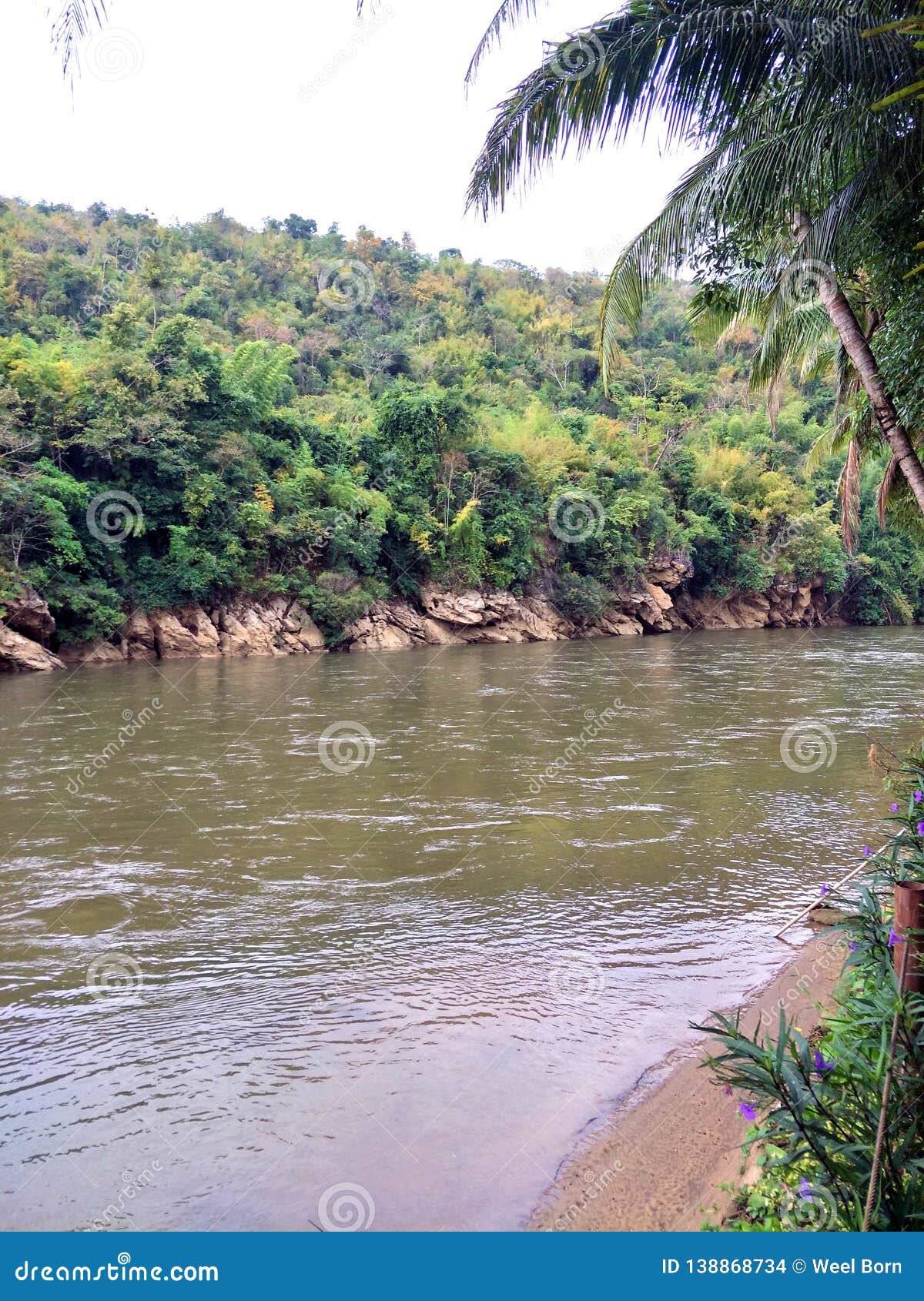 Long river in forest stock photo. Image of clear, flat - 138868734