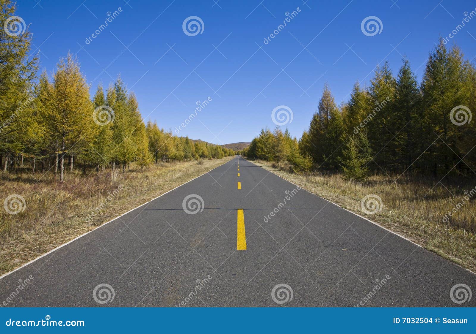 Long road stock photo. Image of long, asphaltum, blue - 7032504