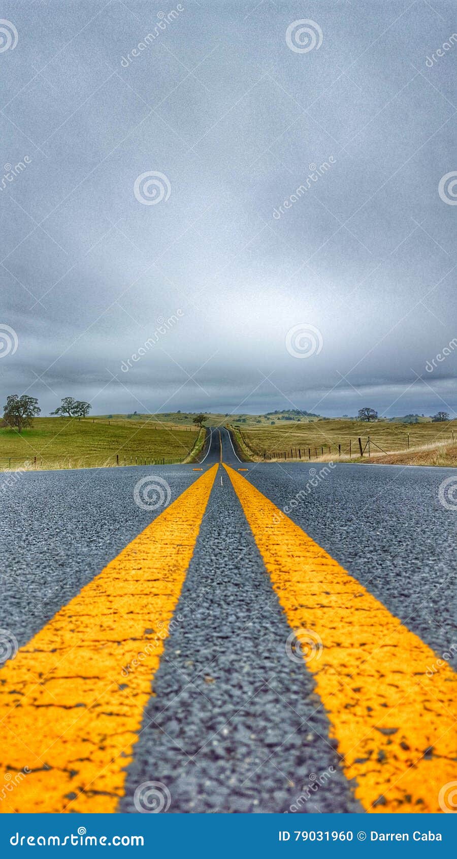 The long road ahead. stock photo. Image of close, markings - 79031960