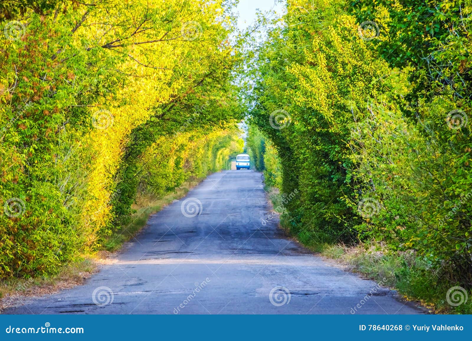 Long Road among Autumn Trees, Nature Background Stock Photo - Image of ...