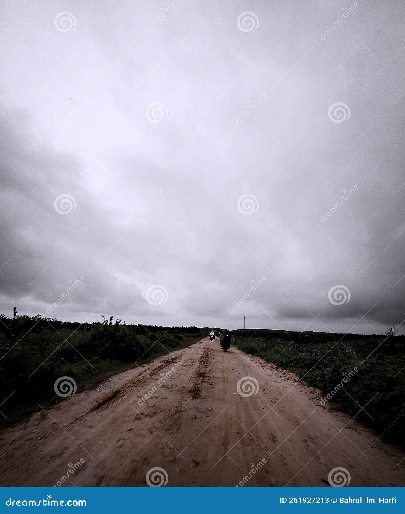 A Long Road Cut through the Meadows Stock Image - Image of tree, field ...