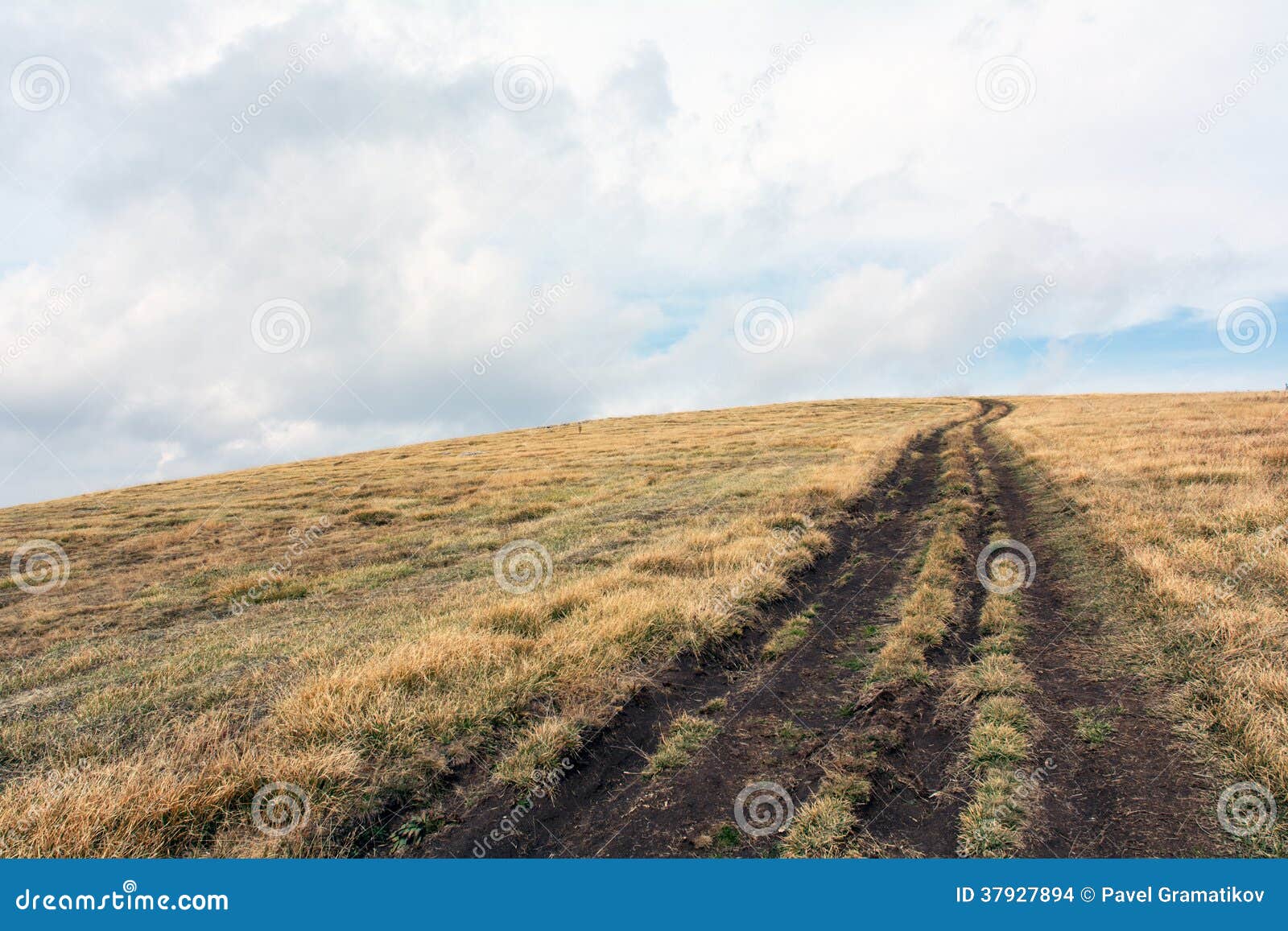 Long road through field stock photo. Image of roadscape - 37927894