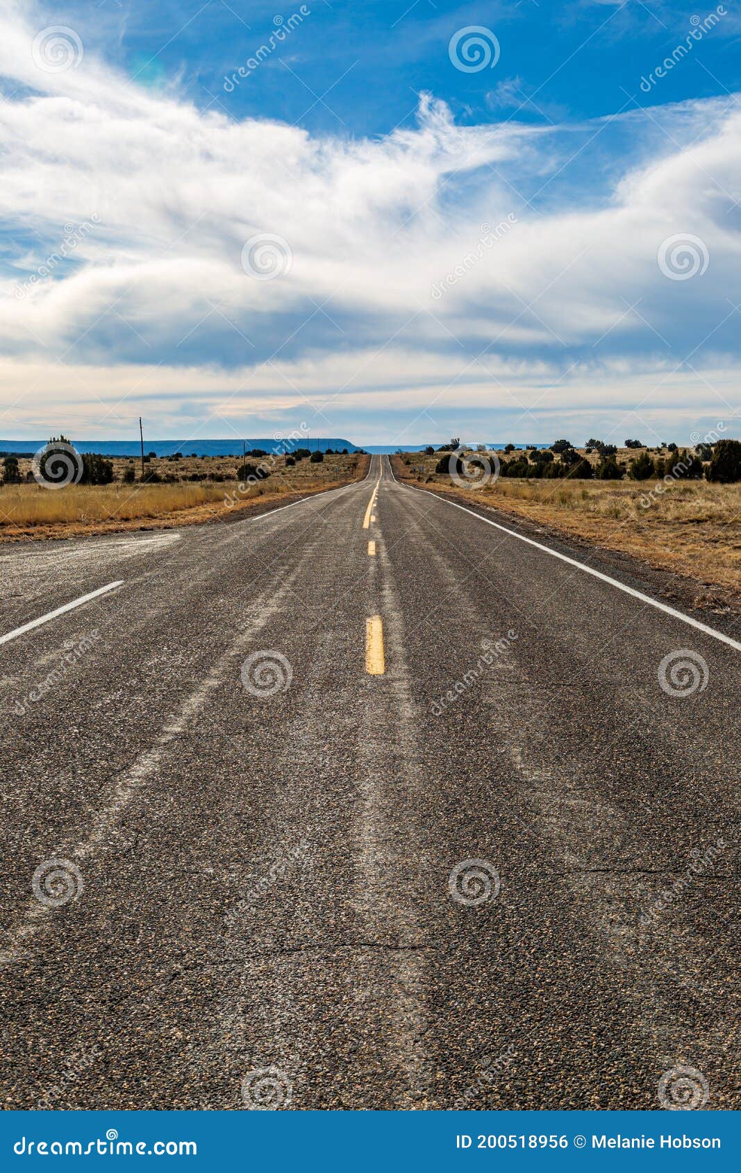 A Long Road in New Mexico stock photo. Image of perspective - 200518956