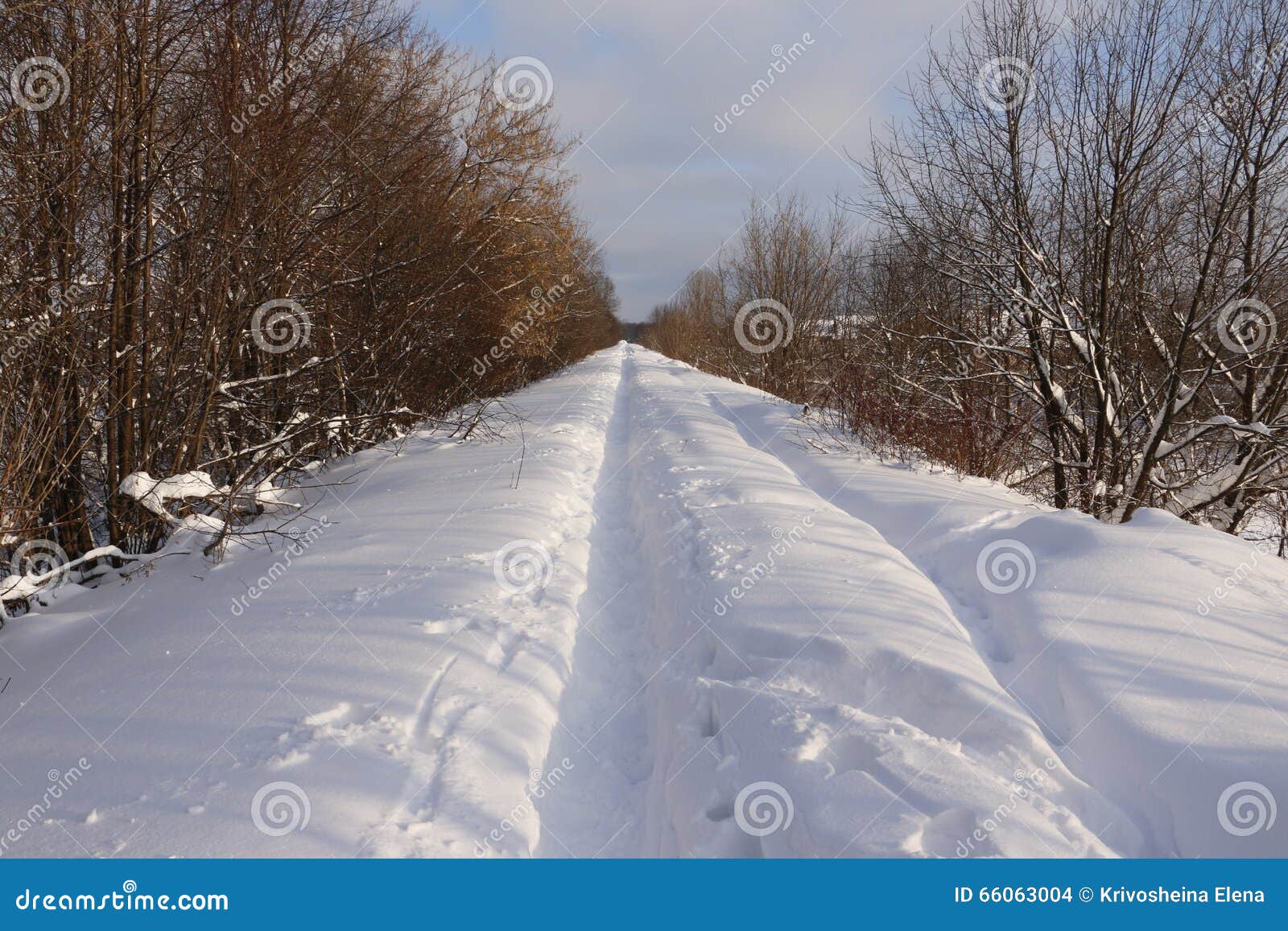 Long road in snow stock photo. Image of snow, track, snowdrift - 66063004