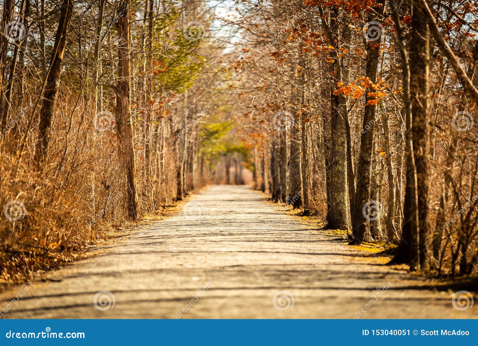 Long Road to Nowhere stock image. Image of path, straight - 153040051