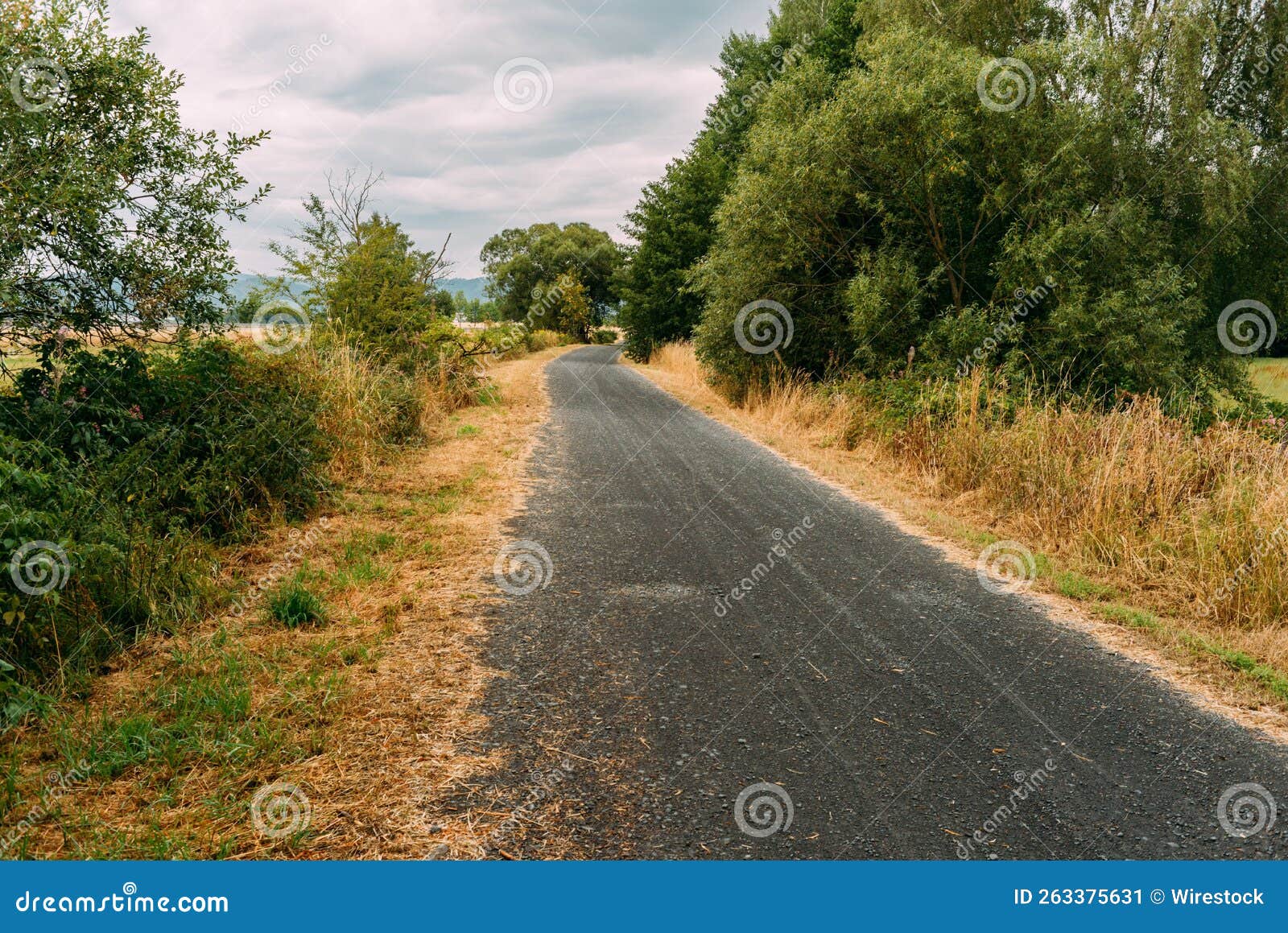 Long Road with Trees and Grass by it Sides. Stock Image - Image of ...