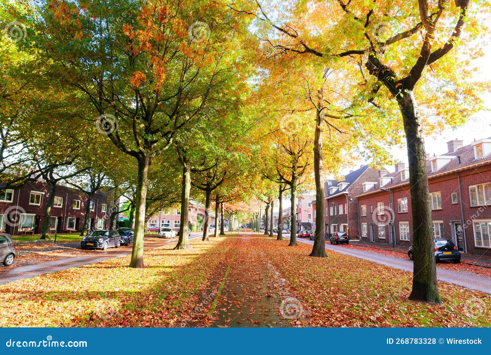 Long Road through a Village with Trees on Both Sides Editorial Stock ...