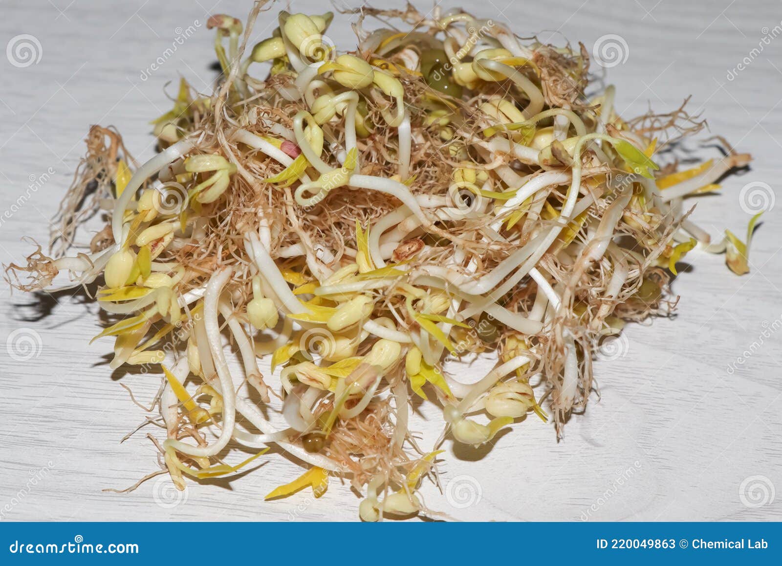Long root sprouts stock image. Image of garbage, plant - 220049863