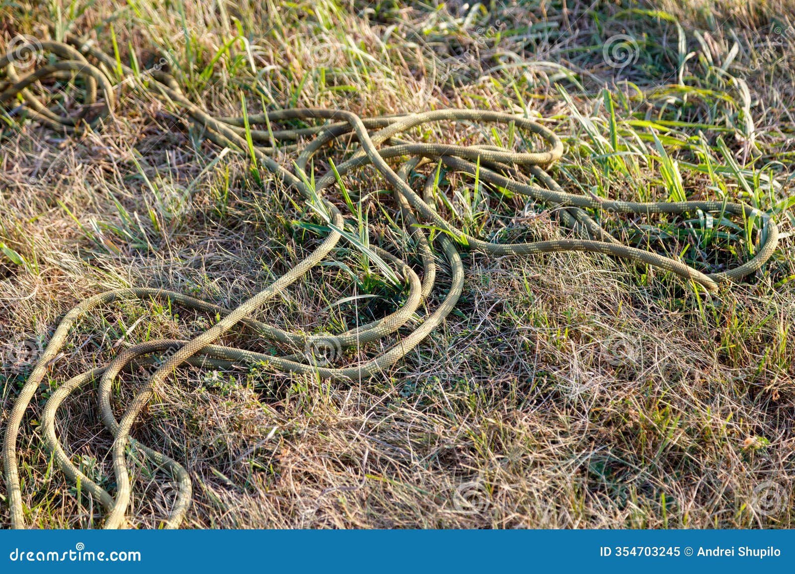 A Long Rope Coil Hangs On A Metal Structure Royalty-Free Stock ...