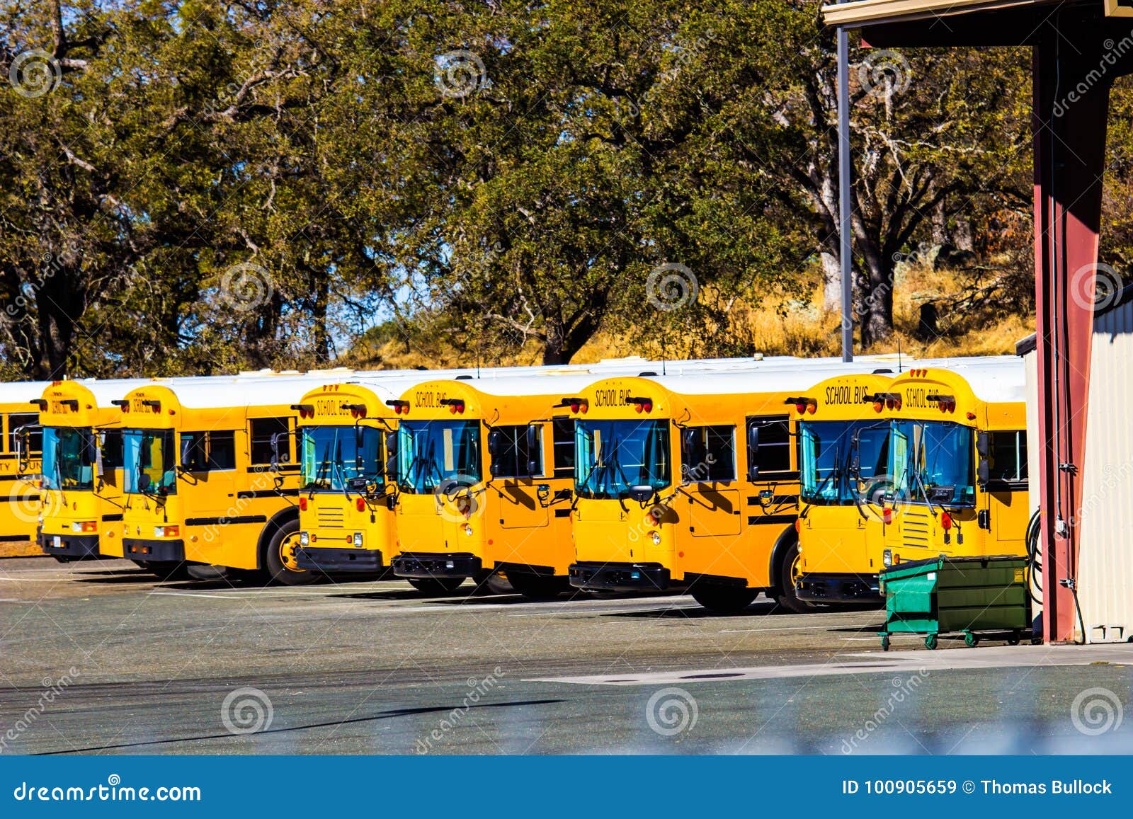 Row of Yellow School Buses stock image. Image of green - 100905659