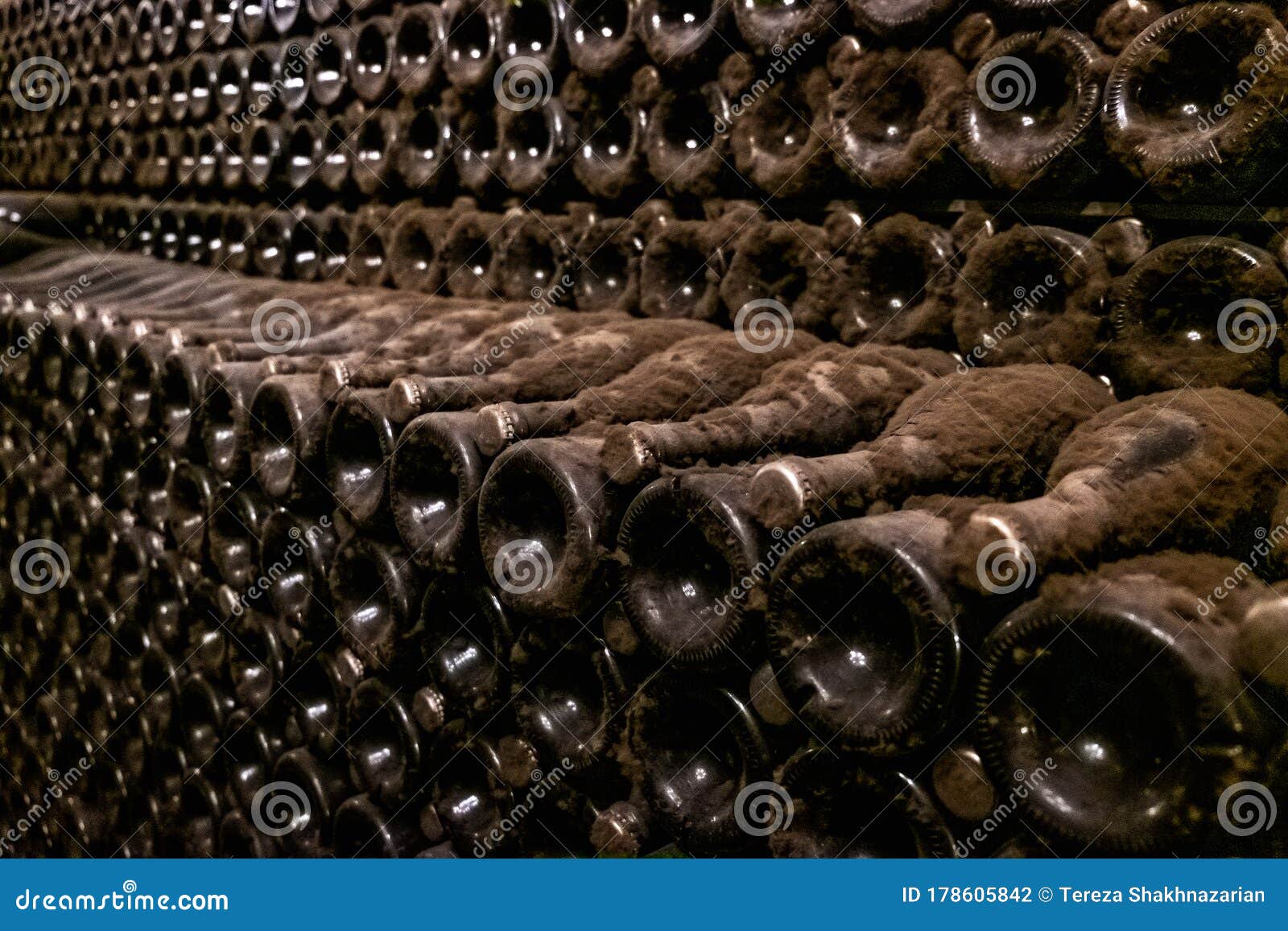 Long Rows with Dusty Wine Bottles are Held in a Dark Cellar. Sparkling ...