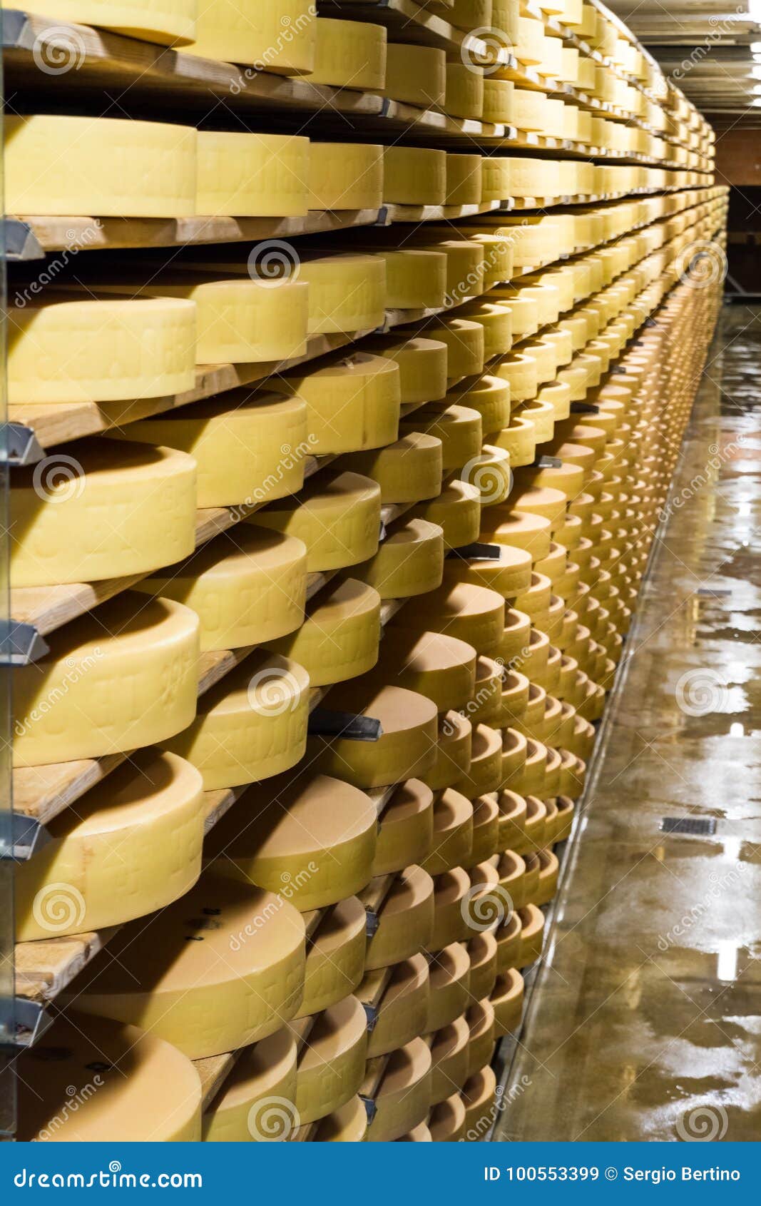 Long Rows of Maturing Cheese Wheels Stock Image - Image of product ...