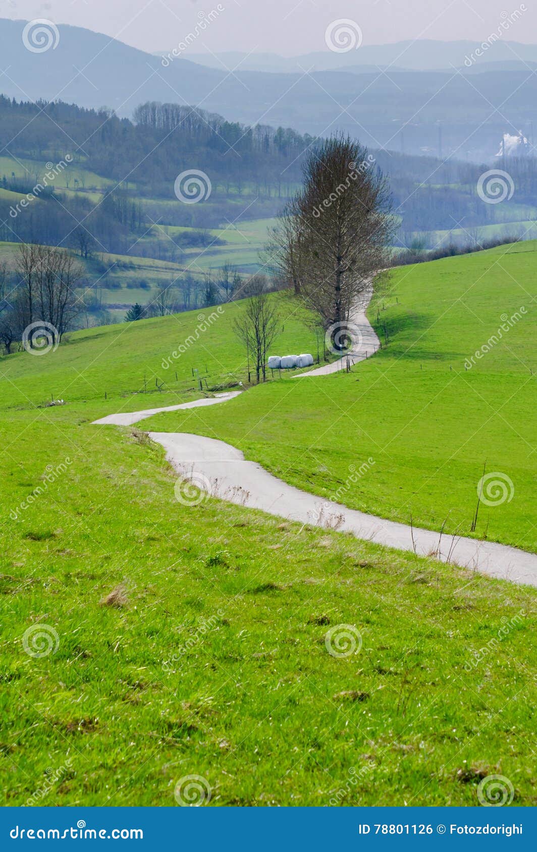 Long rural road stock photo. Image of natural, agriculture - 78801126