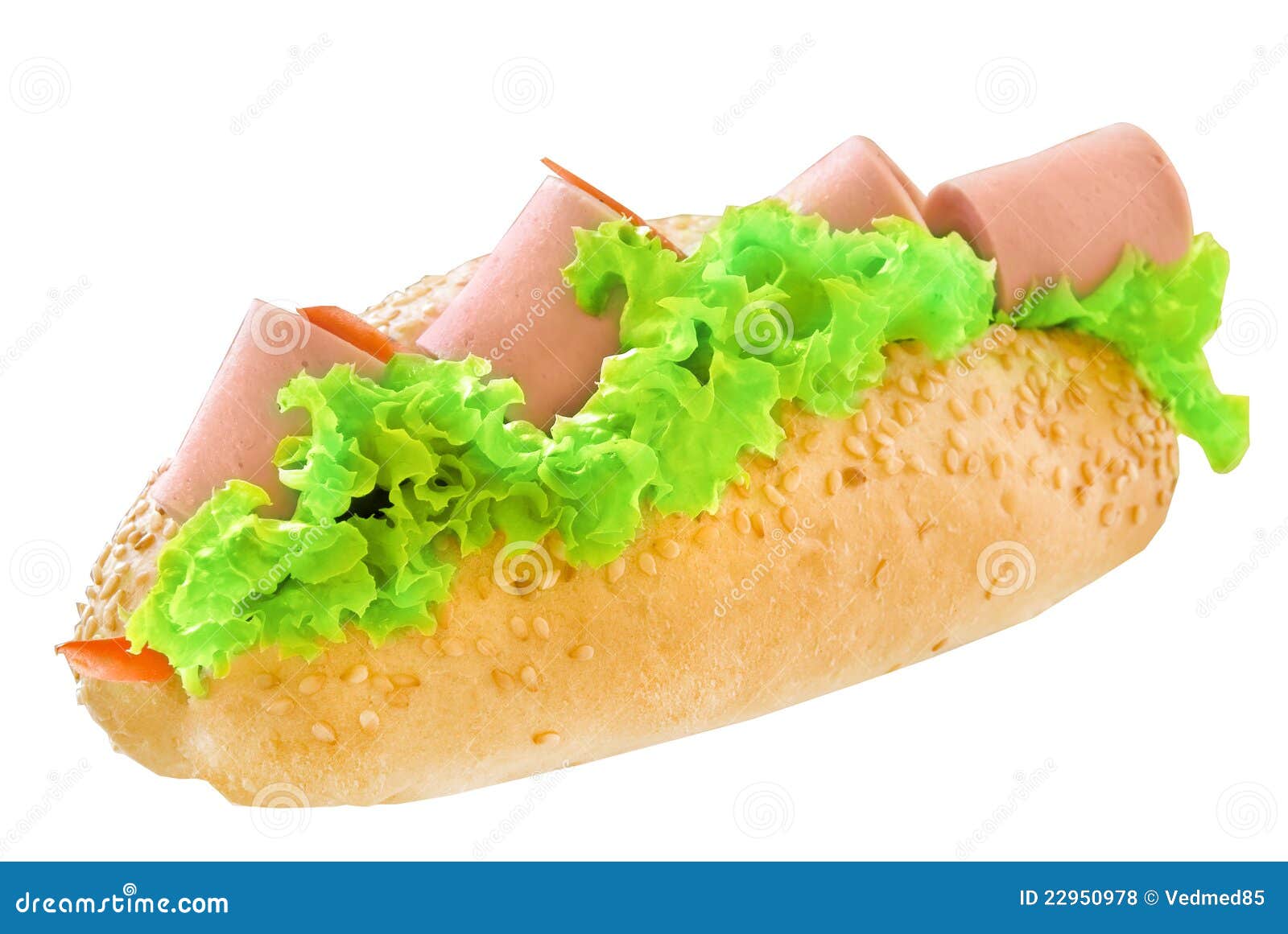 Long sandwich stock photo. Image of iroquois, chicken - 22950978