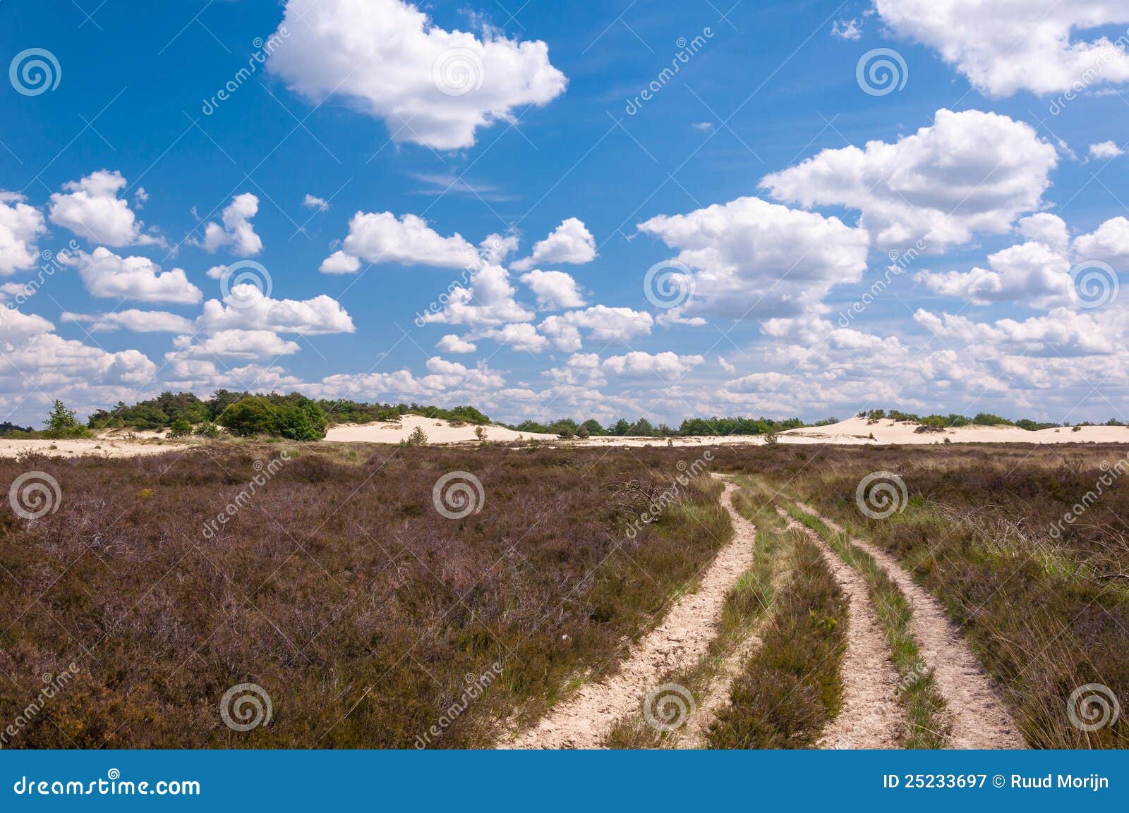 Long Sandy Path in a Colorful Rural Landscape Stock Image - Image of ...