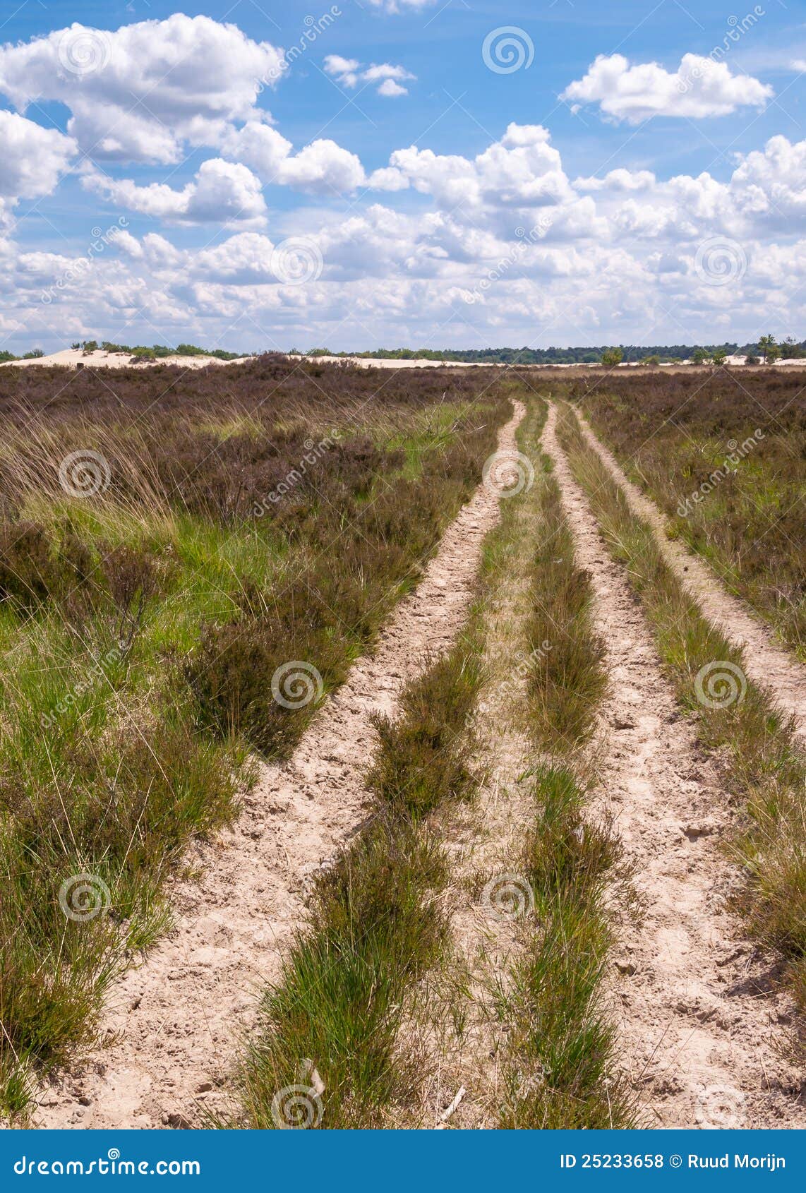 Long Sandy Path in a Rural Landscape Stock Photo - Image of fields ...