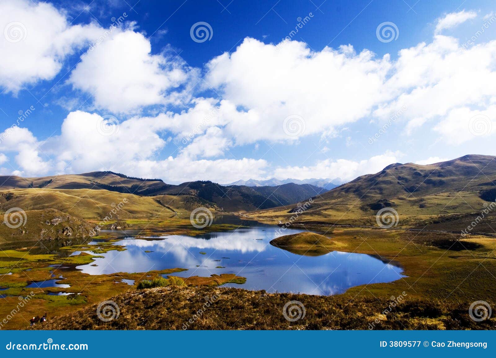 Long sea stock image. Image of tree, lake, grass, cloud - 3809577