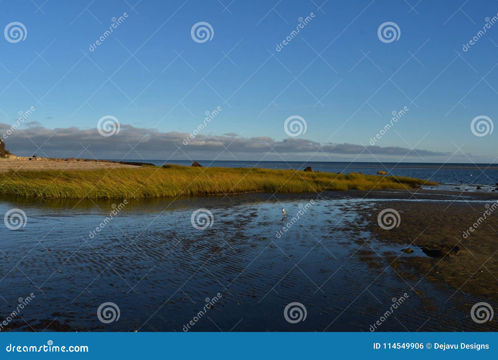 Pretty Seascape on the Coast of Cape Cod Stock Photo - Image of capecod ...