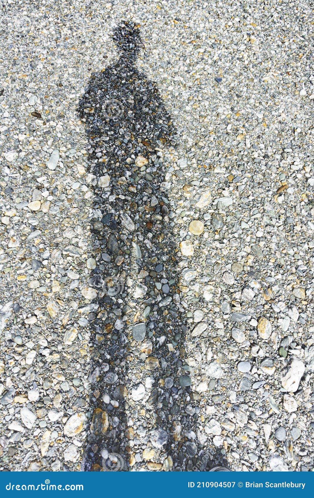Long Shadow of Man Standing on Stony Riverbed Stock Image - Image of ...