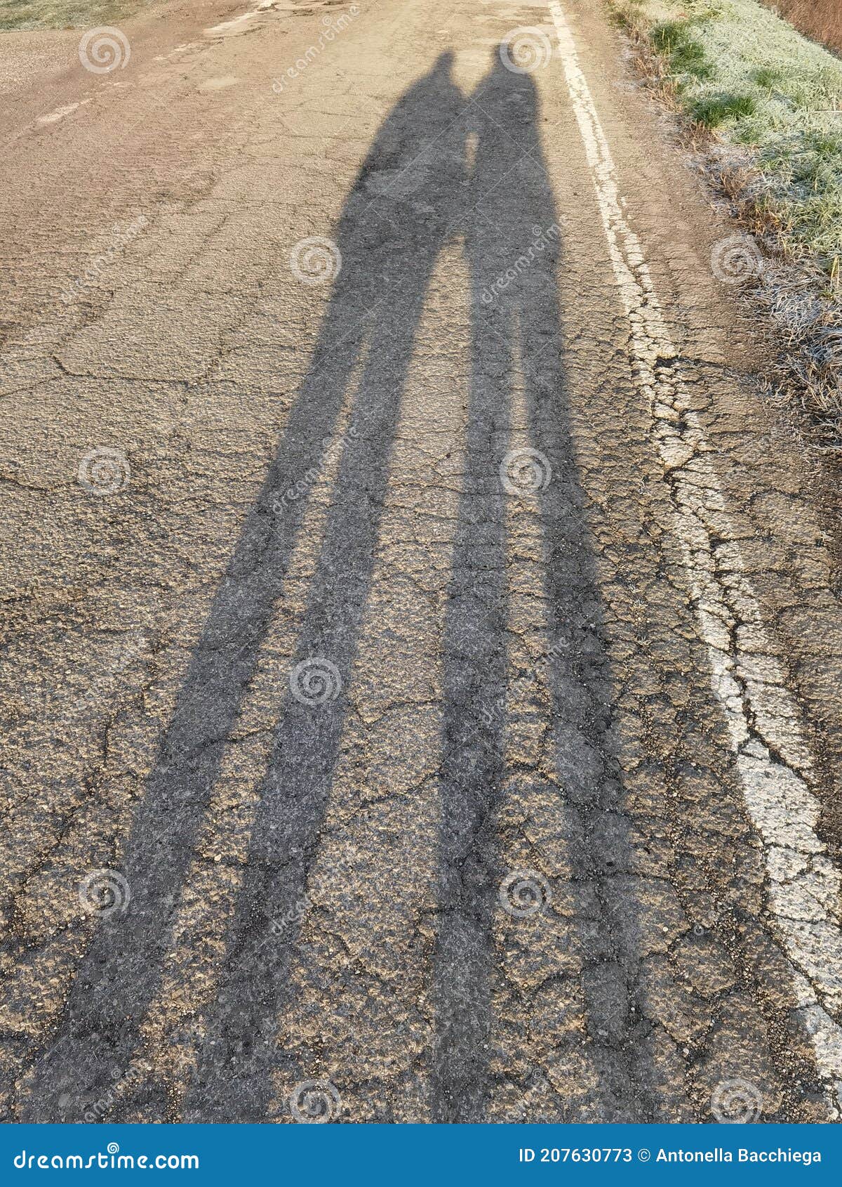Long Shadow during a Morning Walk Stock Image - Image of morning, walk ...