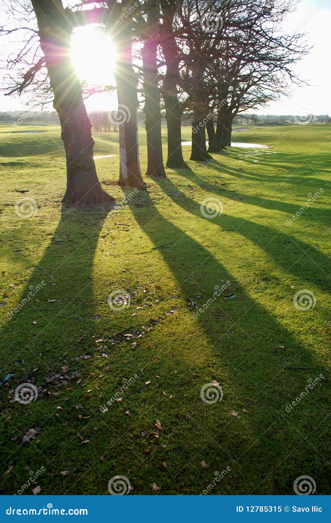 Long shadows stock image. Image of meadow, shadows, afternoon - 12785315