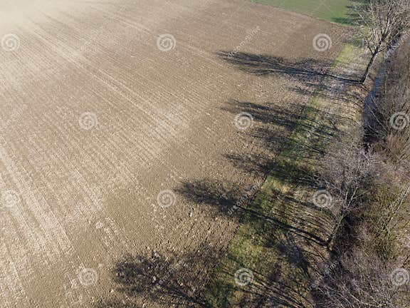 Long Shadows from Avenue Deciduous Trees at Springtime in Bavaria Stock ...