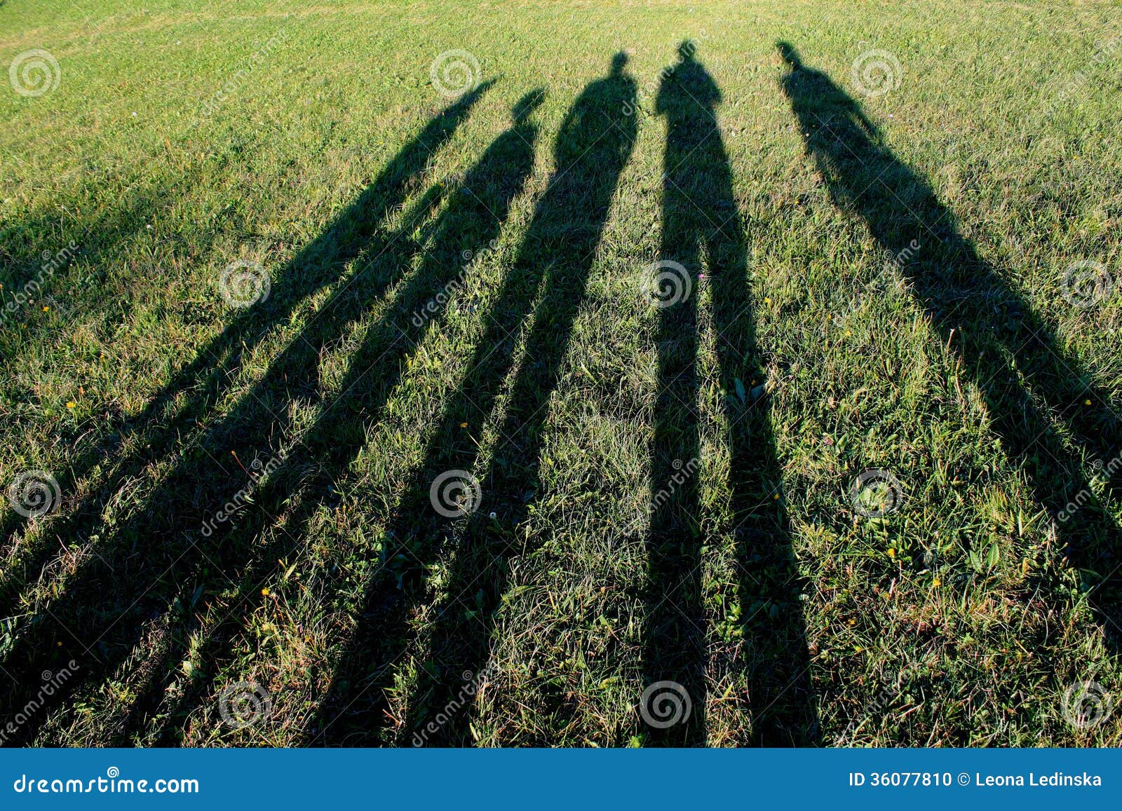 Long shadows of family stock photo. Image of grass, happines - 36077810