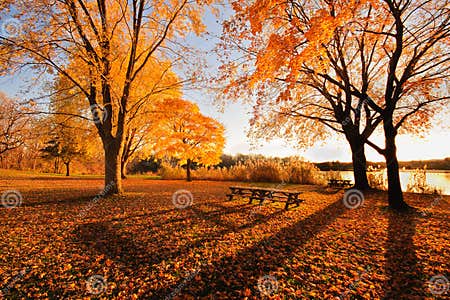 Long Shadows of Late Fall stock photo. Image of collins - 24387532