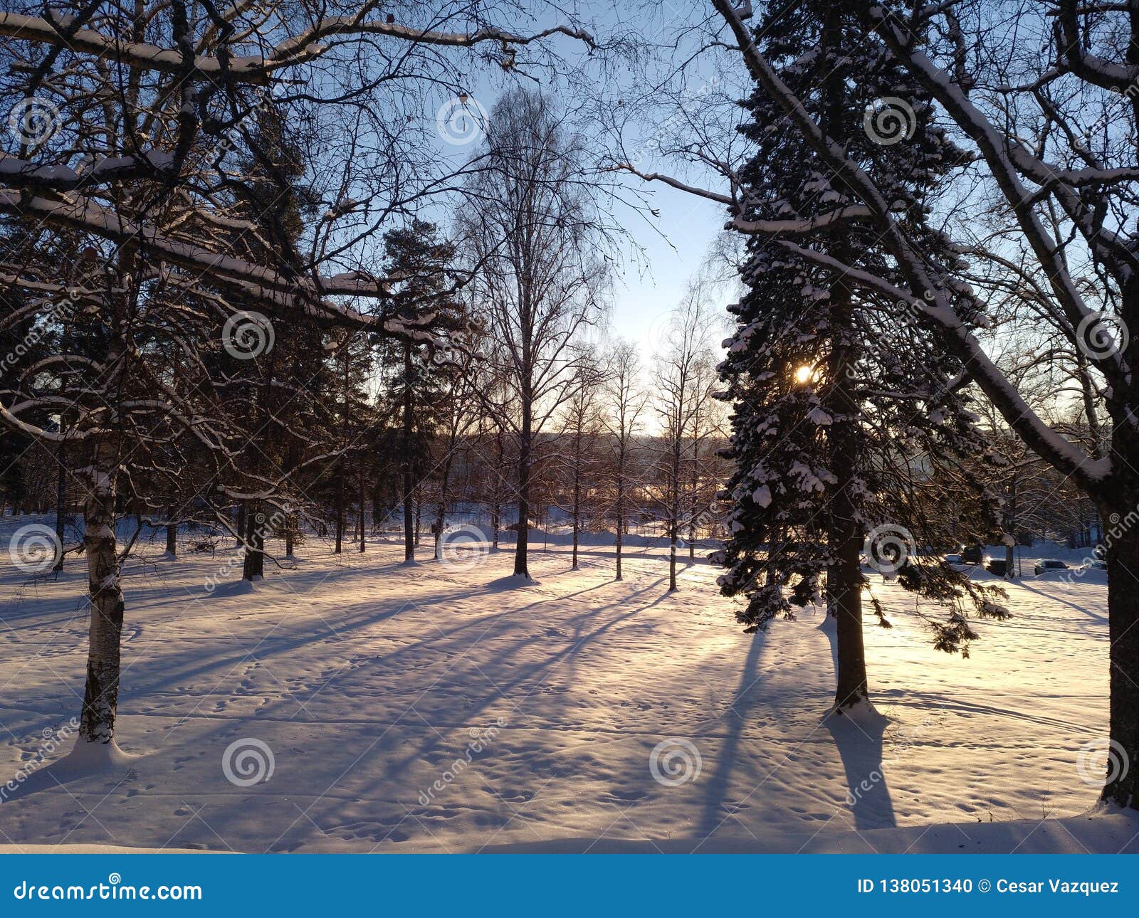 Long Shadows stock photo. Image of park, sunset, shadows - 138051340