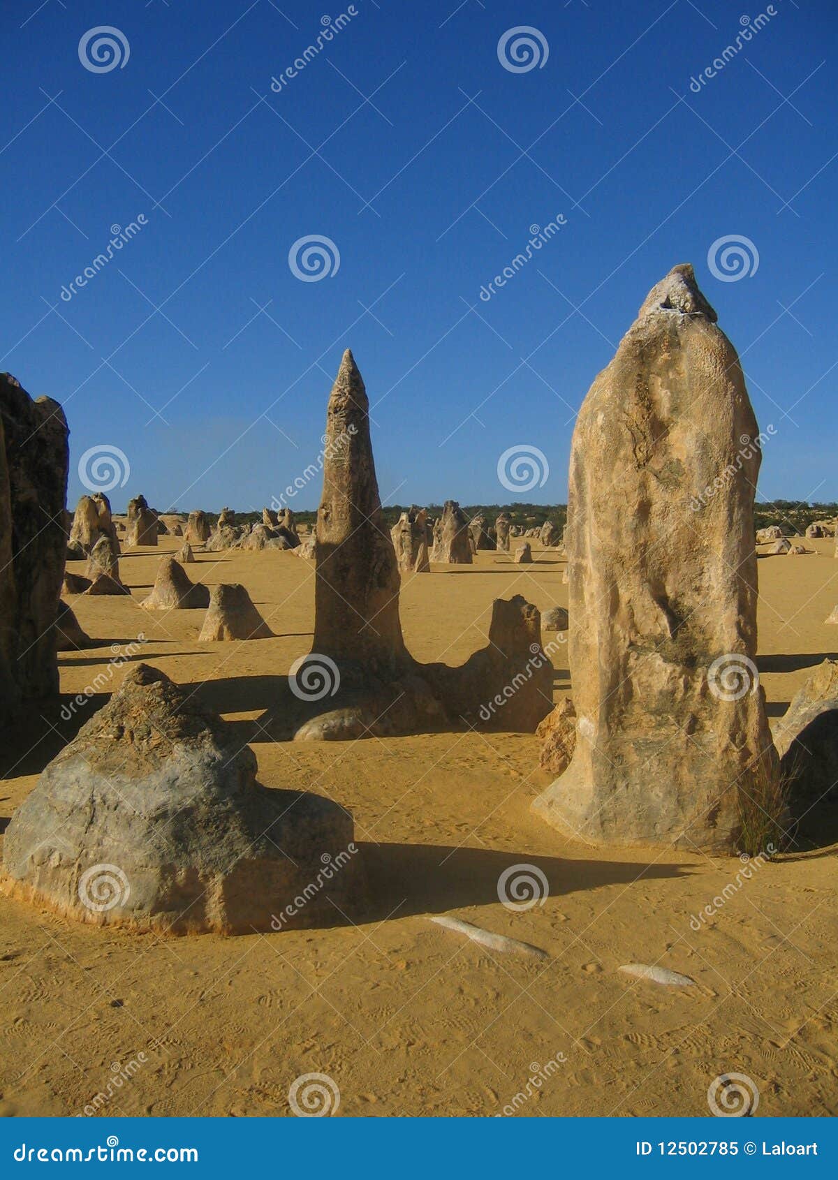 The Long Shadows of the Pinnacles Desert Stock Image - Image of western ...