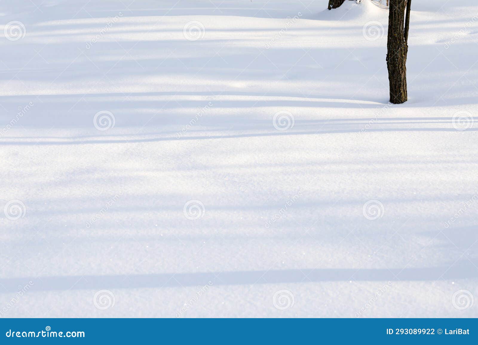 Long Shadows on the Snow. the Beauty of Winter, Cold Weather Stock ...