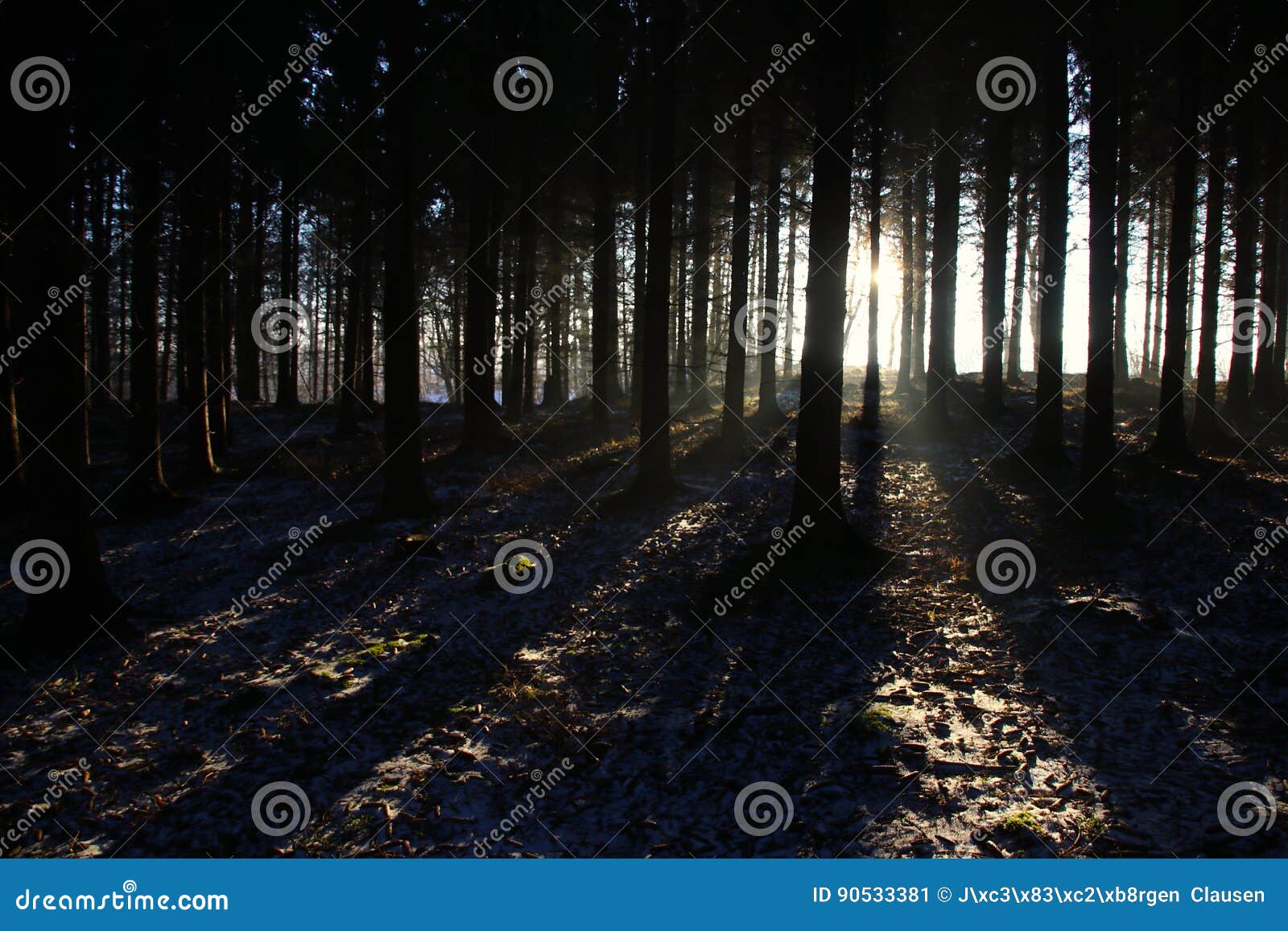 Long Shadows at Sunrise in the Snow Stock Image - Image of cold ...