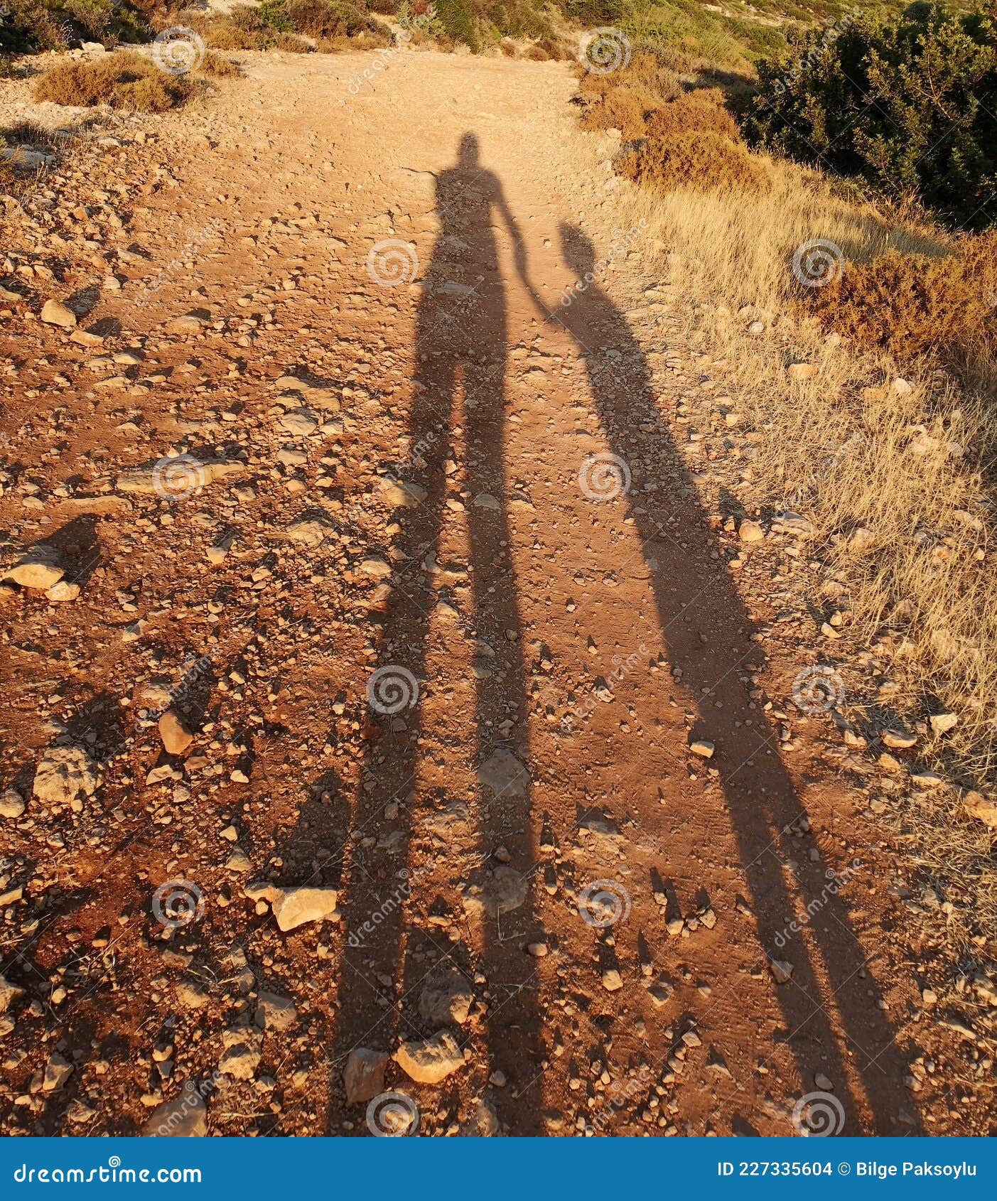 Long shadows at sunset stock photo. Image of long, field - 227335604