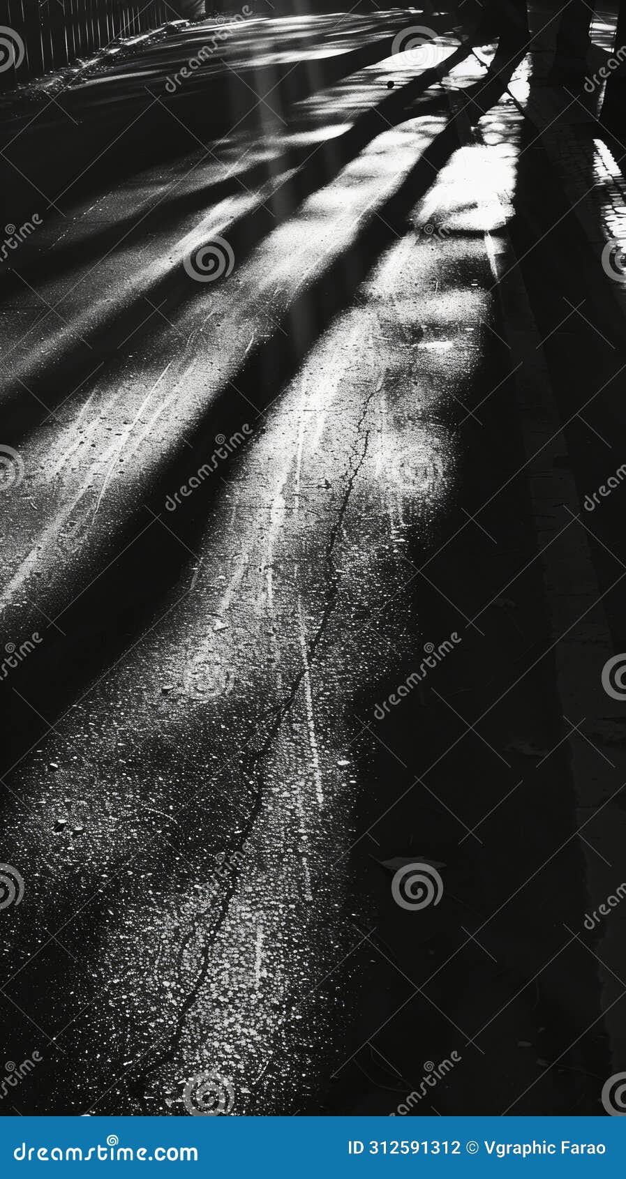 Long Shadows on a Textured Pavement Stock Photo - Image of abstract ...