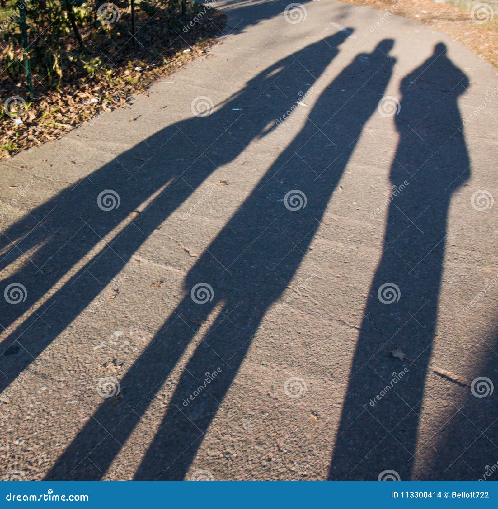 Long Shadows of Three People Strolling in the Late Winter Afternoon ...
