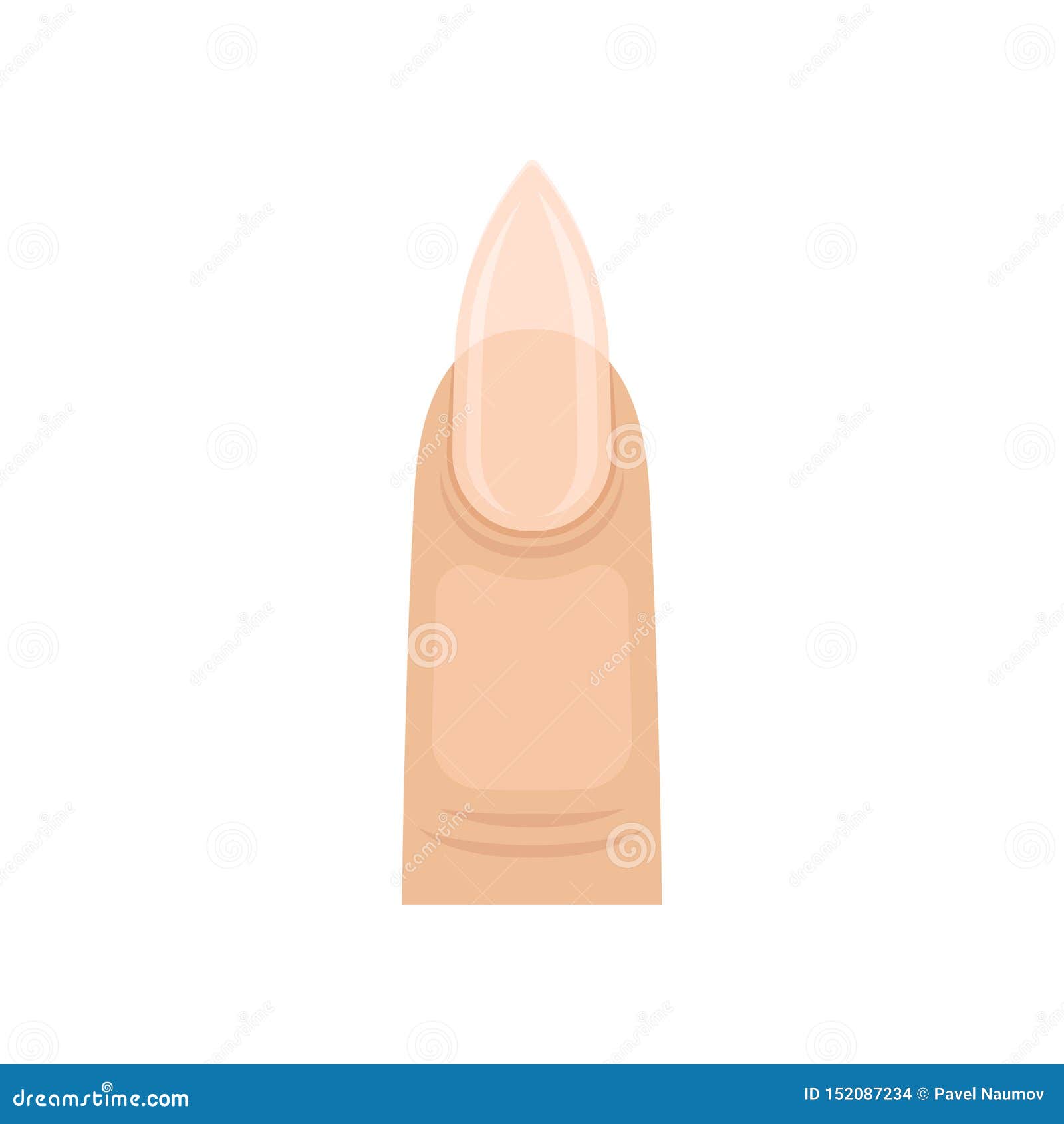 Long Sharp Nail. Vector Illustration on White Background Stock Vector ...