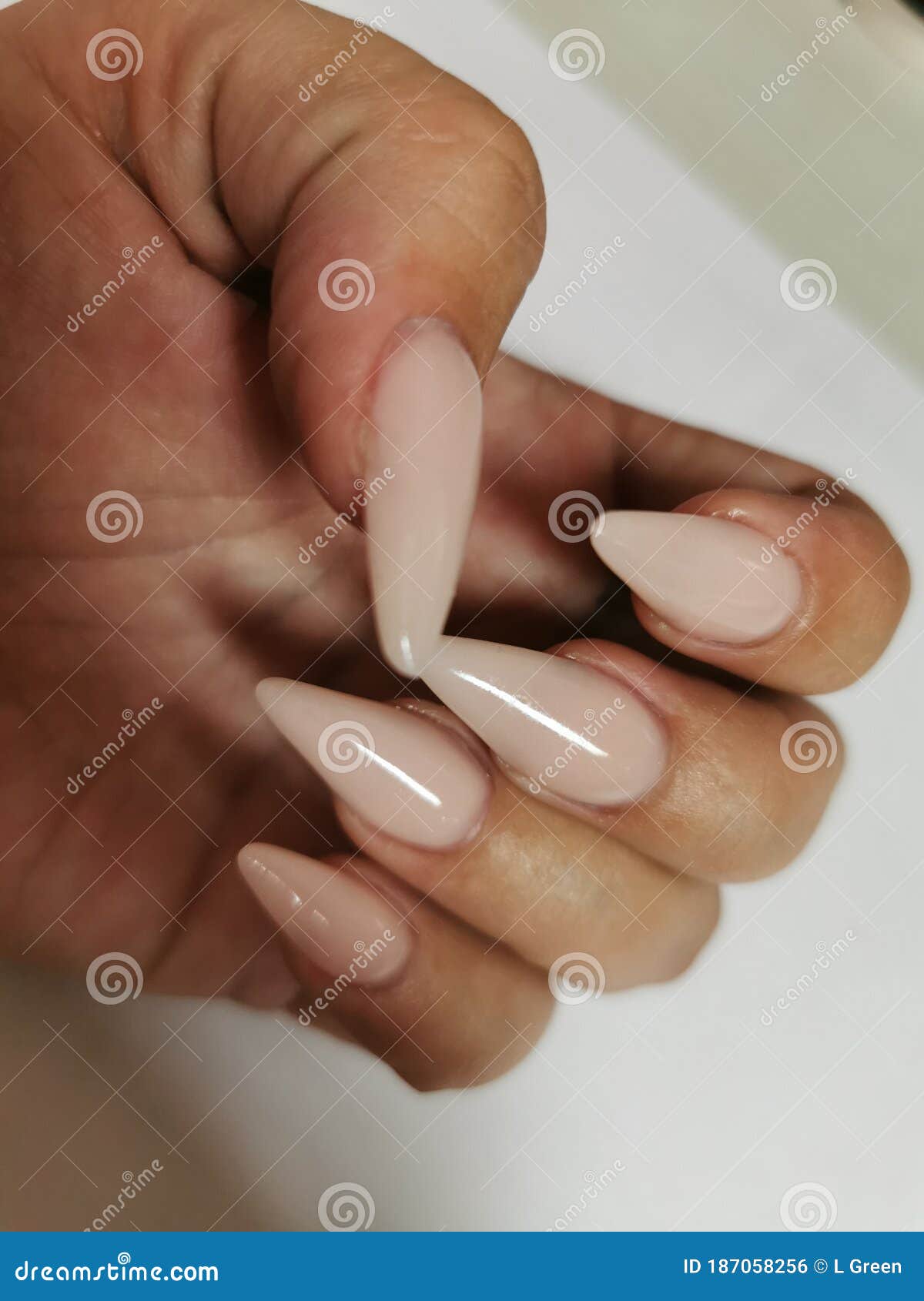 Long sharp nails stock photo. Image of nose, cosmetics - 187058256