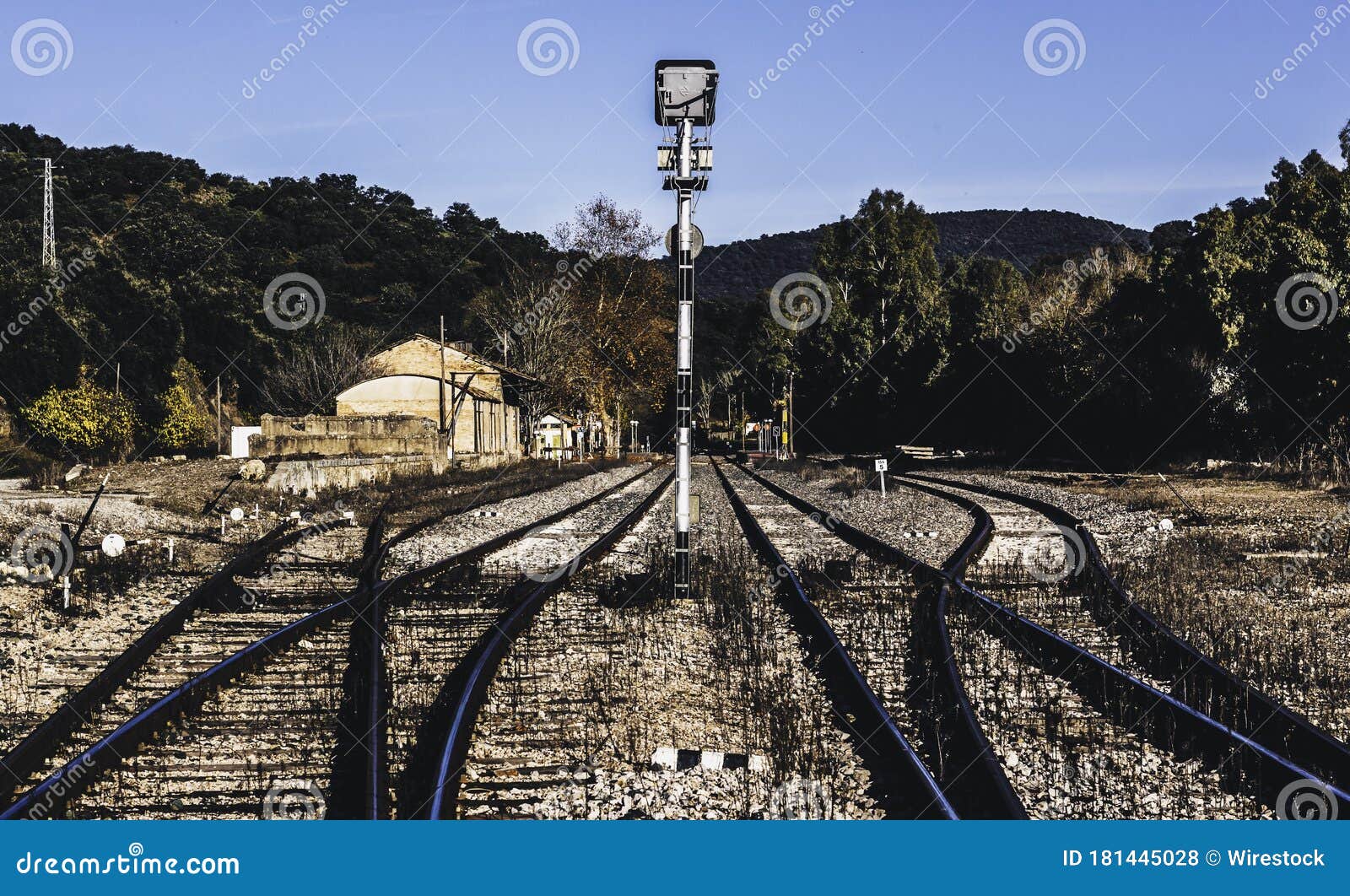 Long Shot of Intersecting Train Tracks with Mountains and Trees in the ...