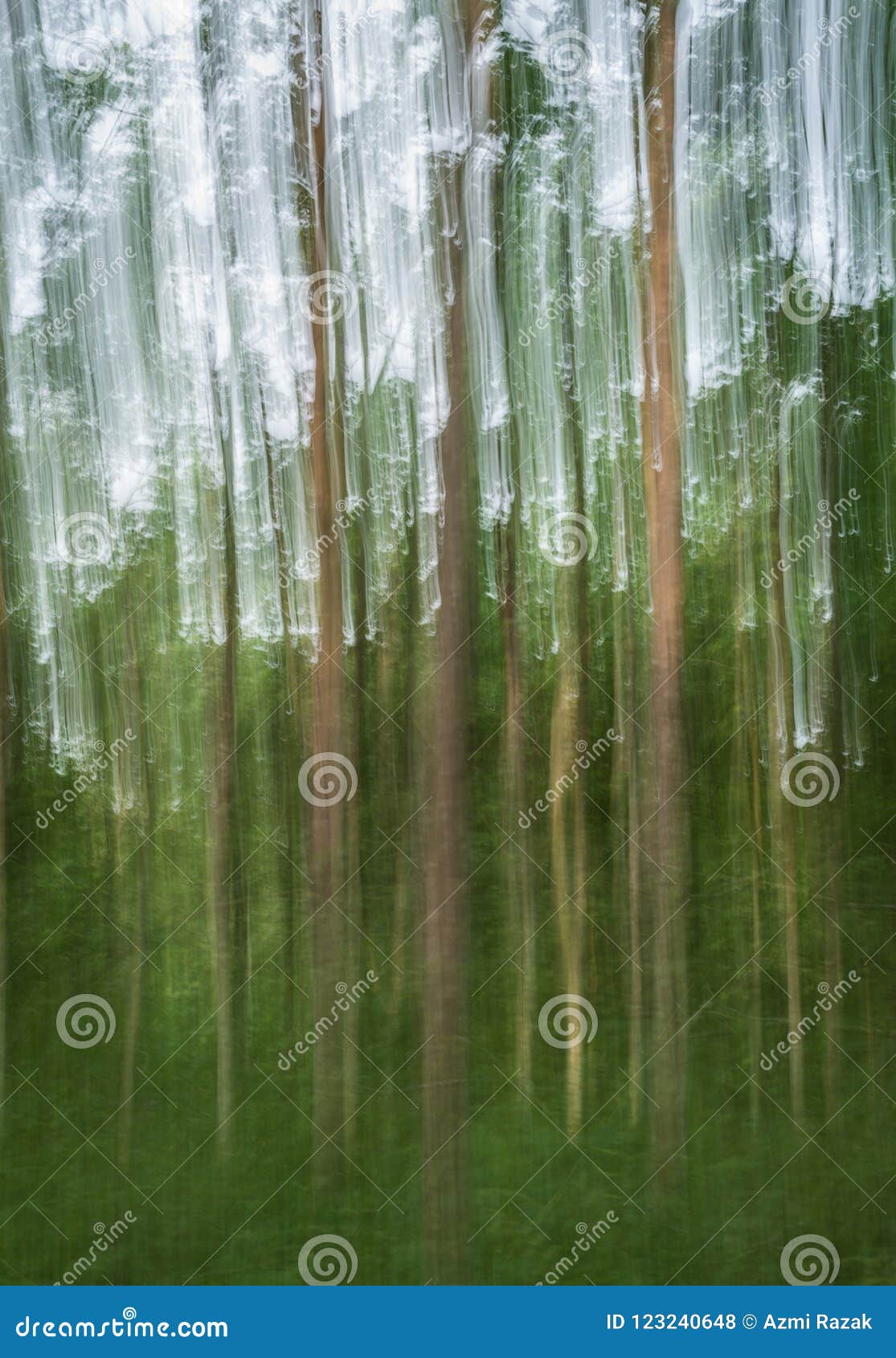 Long shutter speed of tree stock photo. Image of beauty - 123240648