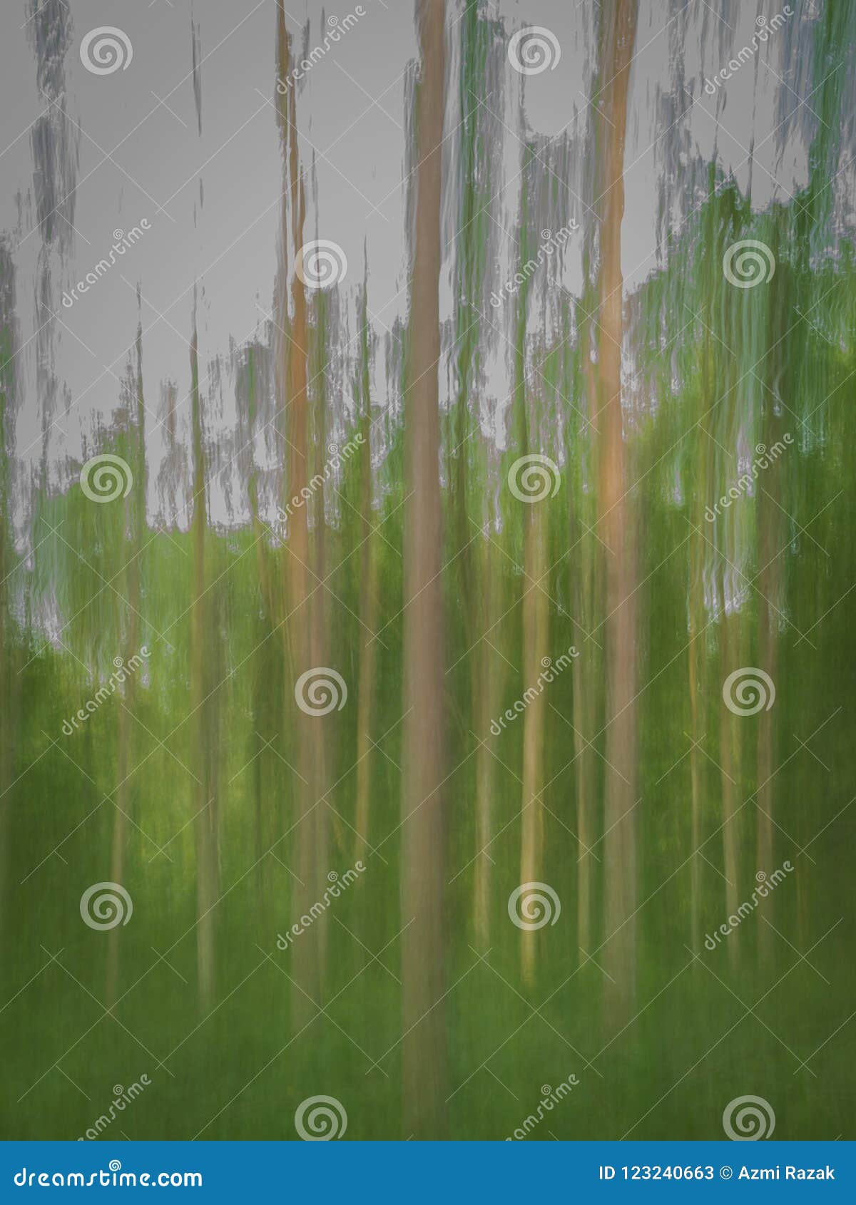 Long shutter speed of tree stock image. Image of decorative - 123240663