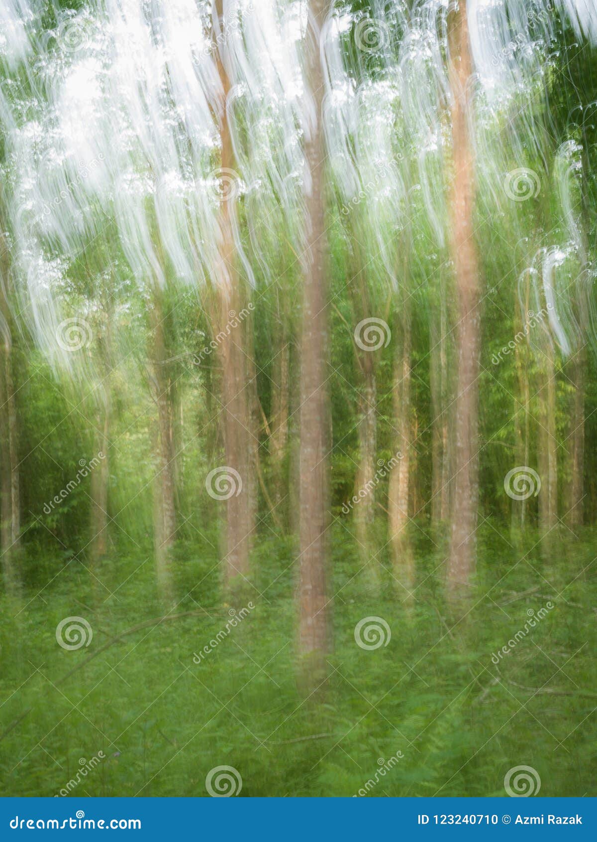 Long Shutter Speed Of Tree Stock Photography | CartoonDealer.com #123240710