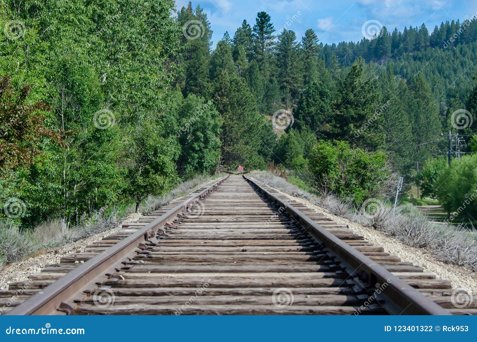 Silent Railroad Tracks Extending on and Waiting Patiently Stock Photo ...