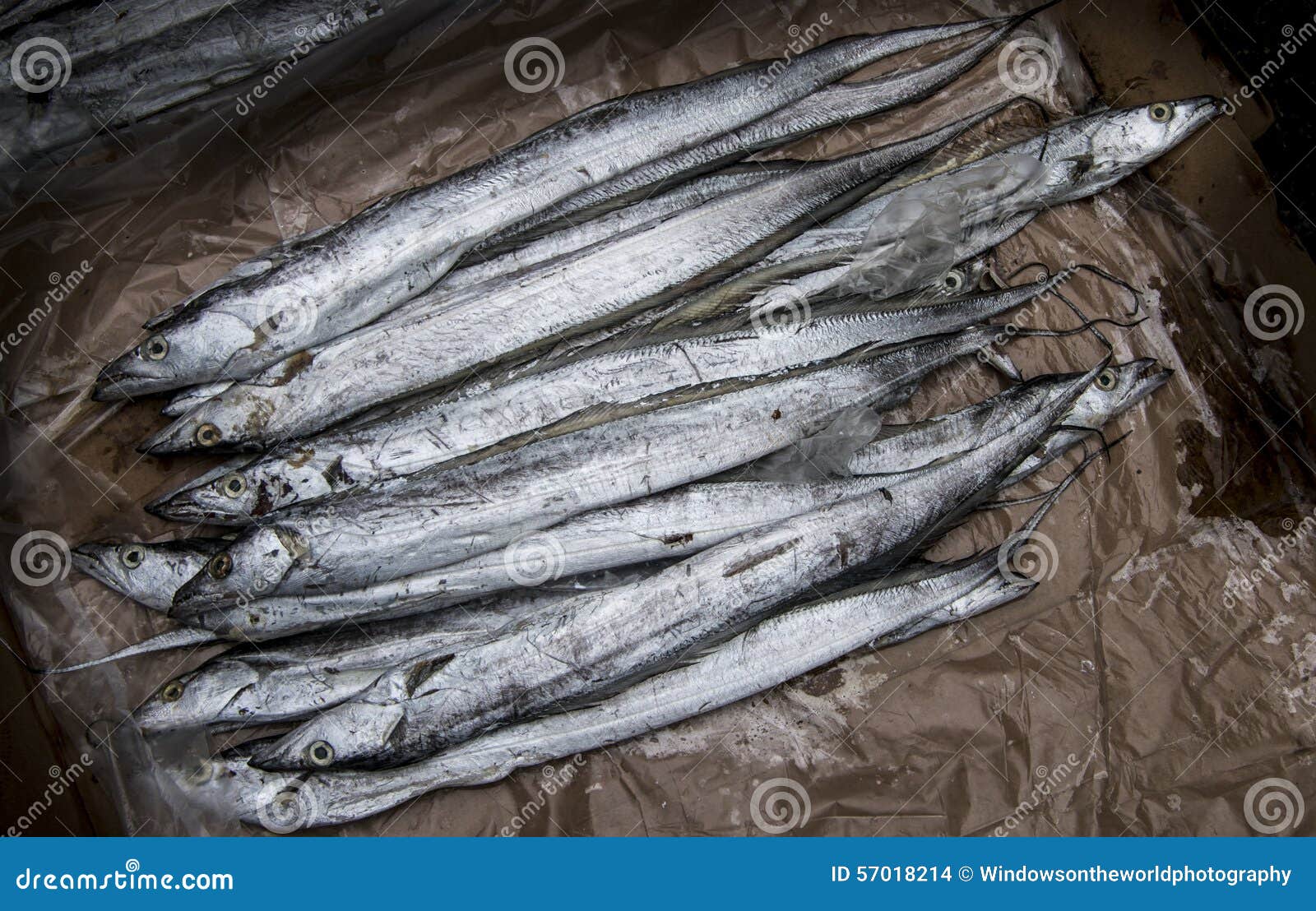 Long silver fish stock photo. Image of population, marketplace - 57018214