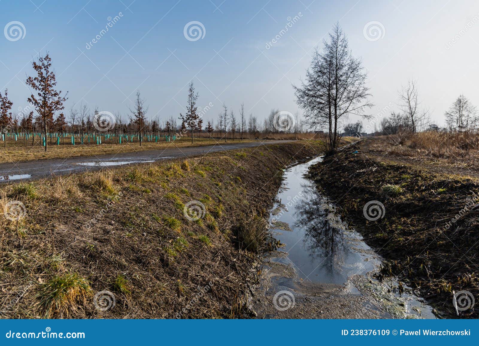 Long Stream Next To Path and Big Tree Plantation Stock Image - Image of ...